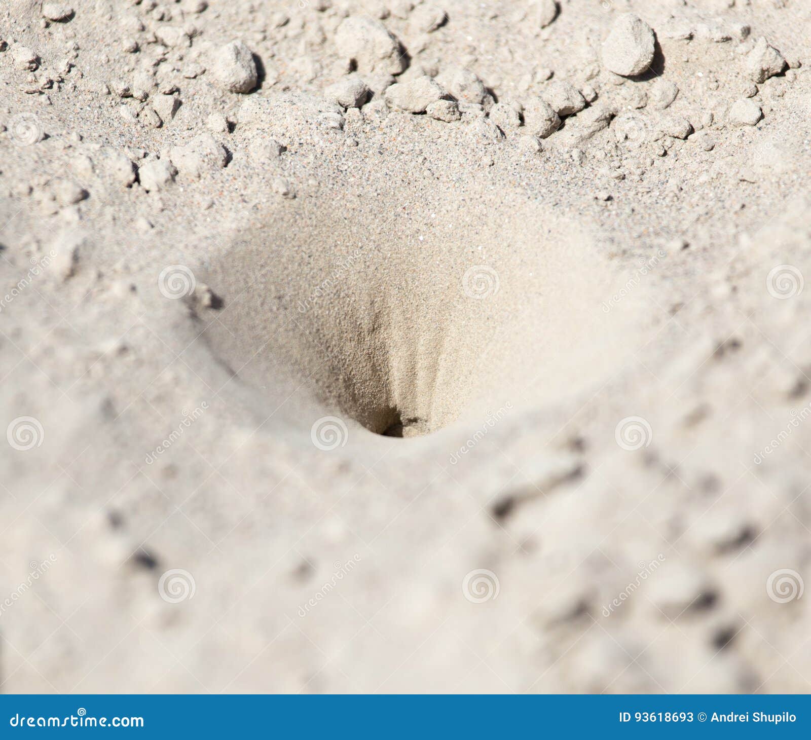 Insect traps in the sand stock image. Image of earth - 93618693