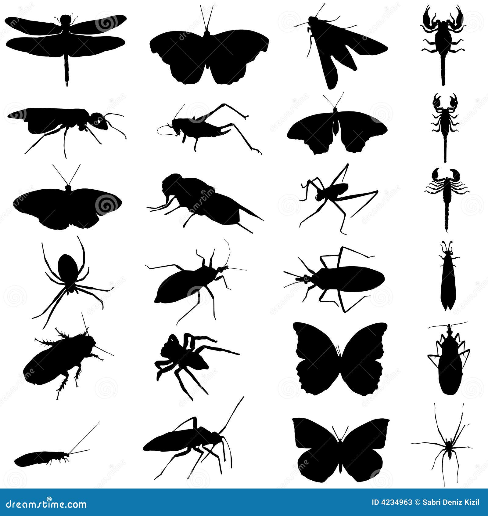 Fly Insect Vector Illustration Transparent Background | CartoonDealer ...