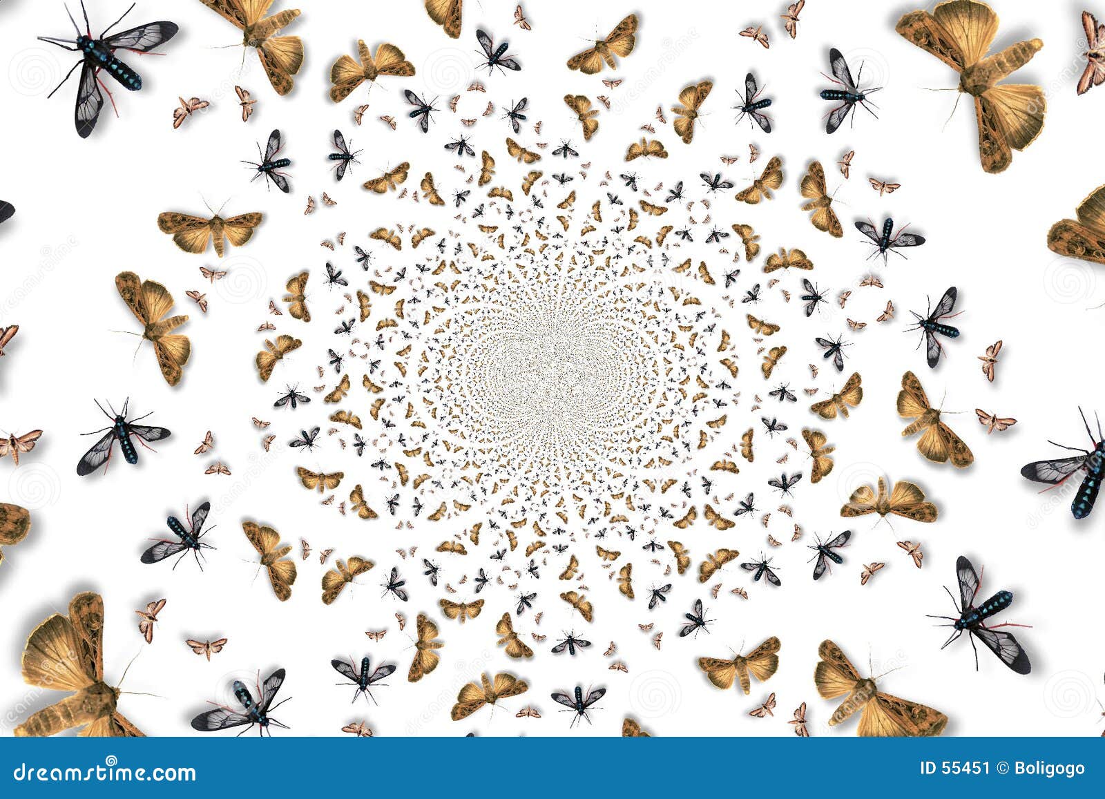 Insect Vortex stock illustration. Illustration of backdrop - 55451
