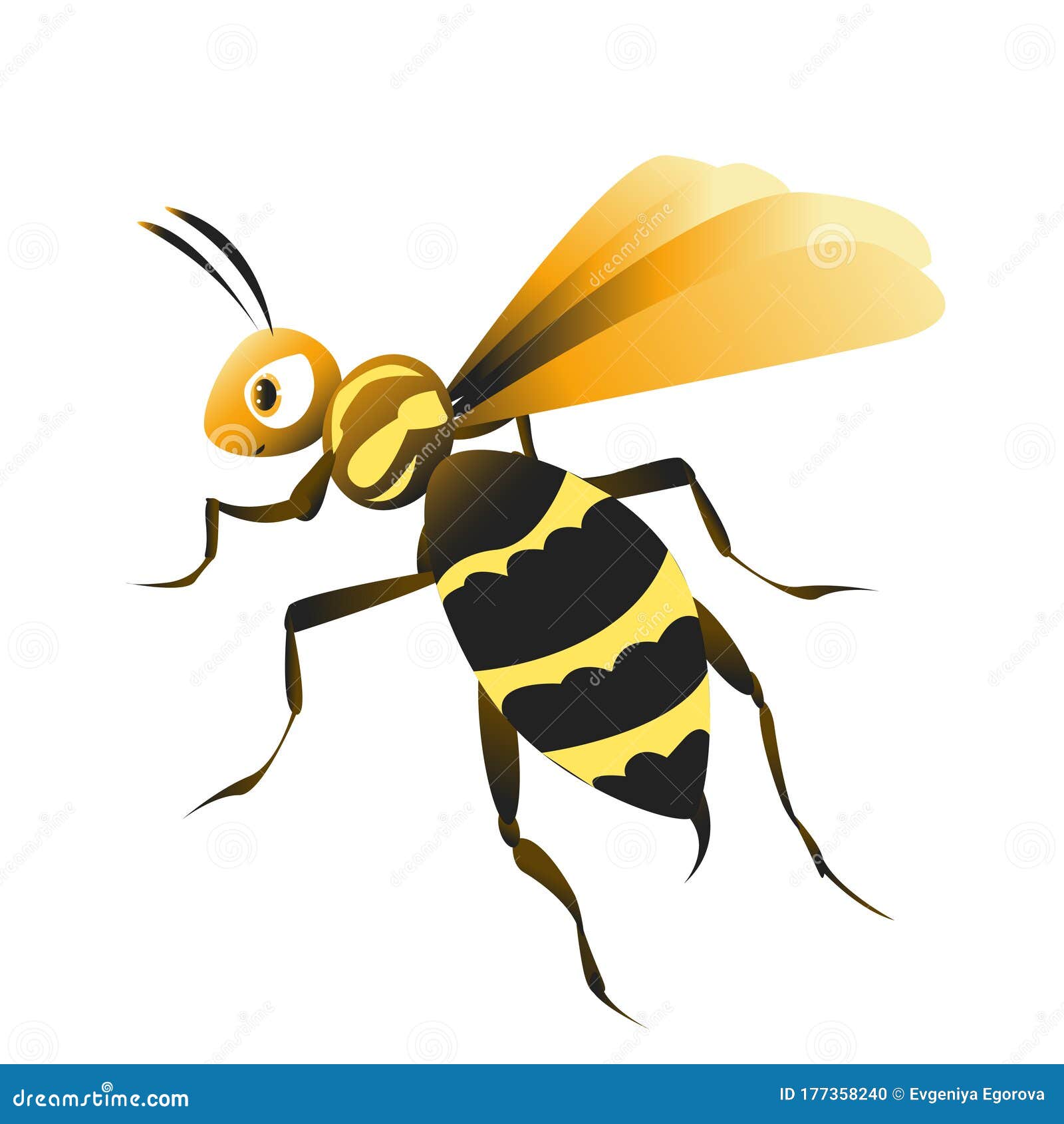 Insect Wasp on a White Background Stock Vector - Illustration of vector ...