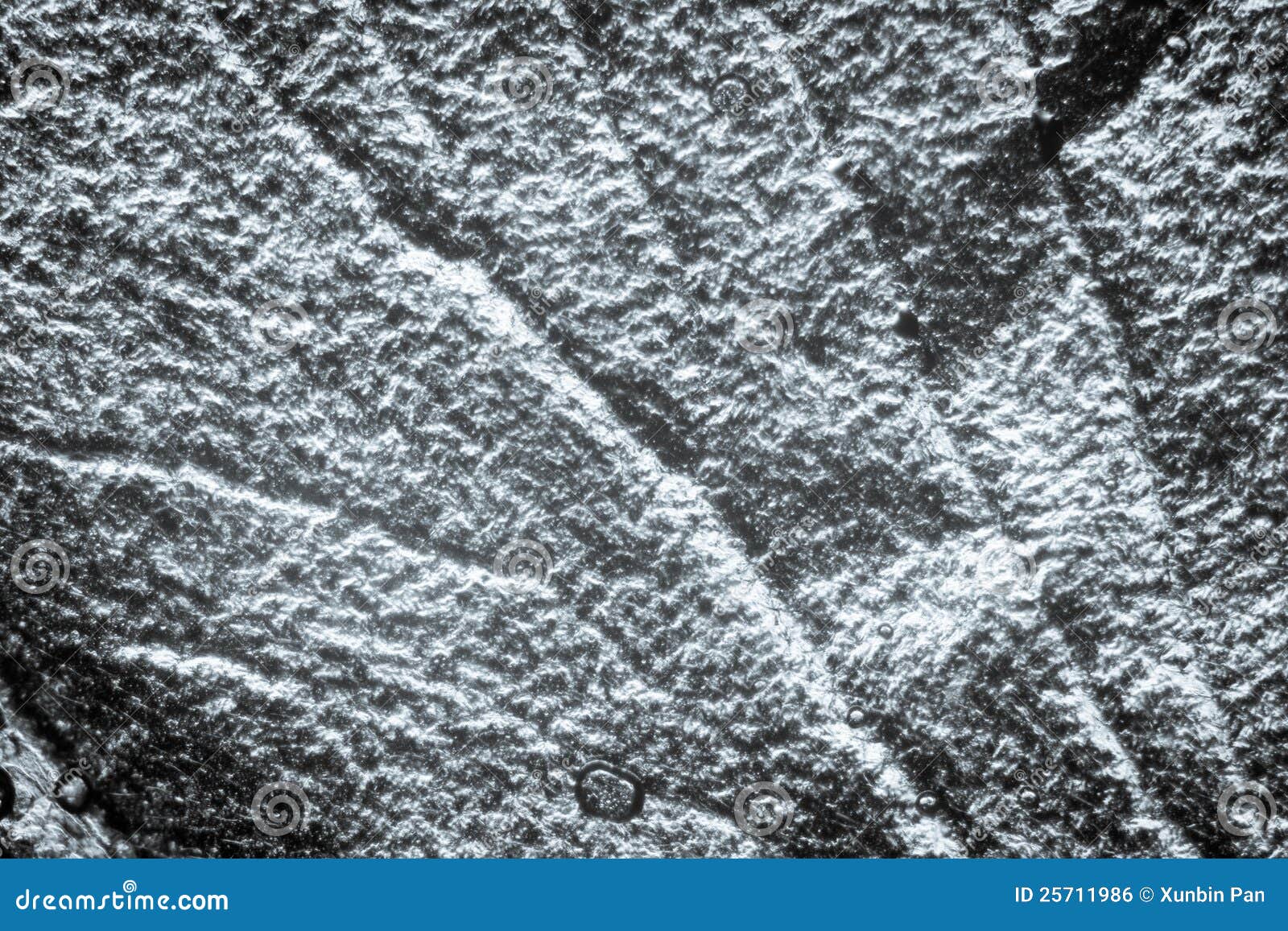 Insect Wing Detail Texture Royalty Free Stock Image - Image: 25711986