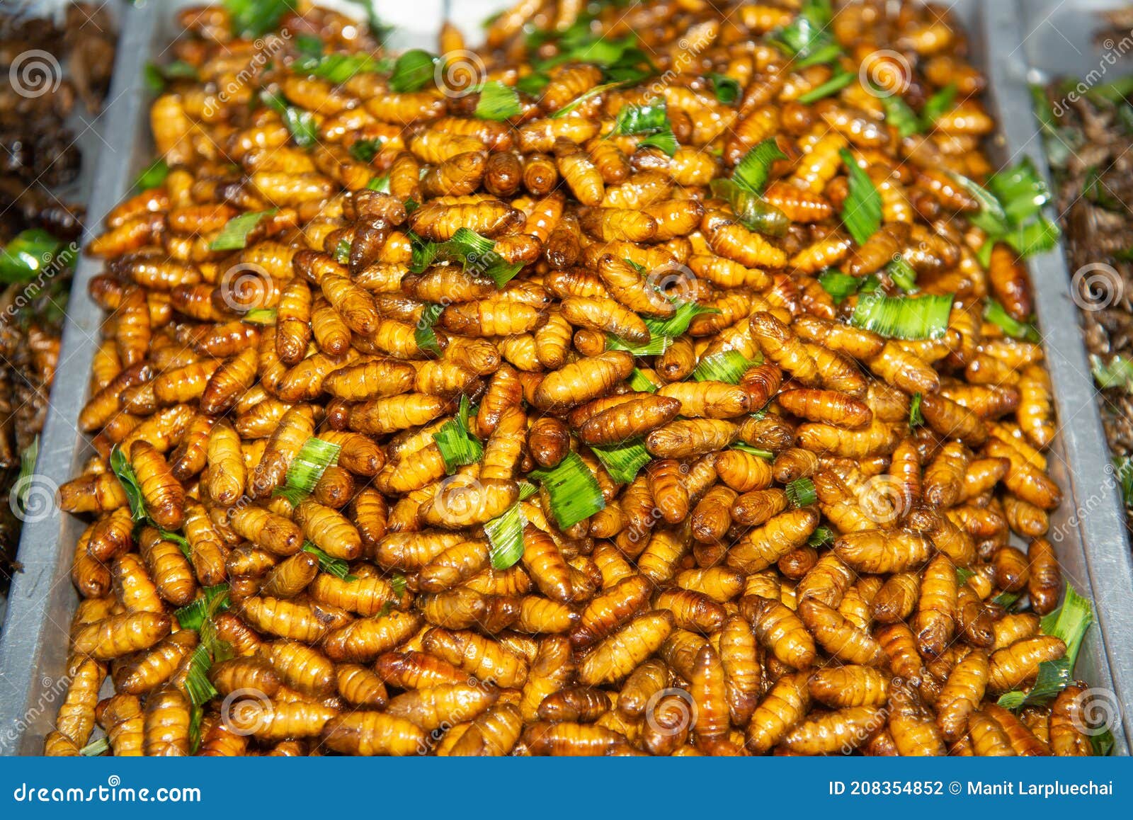 Insect Worm, Chrysalis, Fried Chrysalis, Fried Salt , Silkworm, Bamboo ...