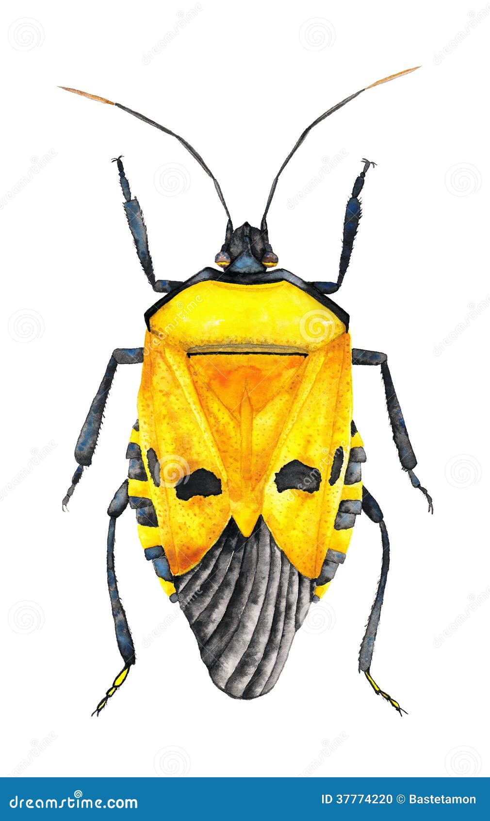 Insecte jaune illustration stock. Illustration du scientifique - 37774220