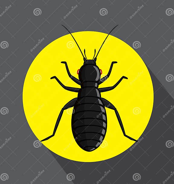 Insecte noir de pou illustration de vecteur. Illustration du plat ...