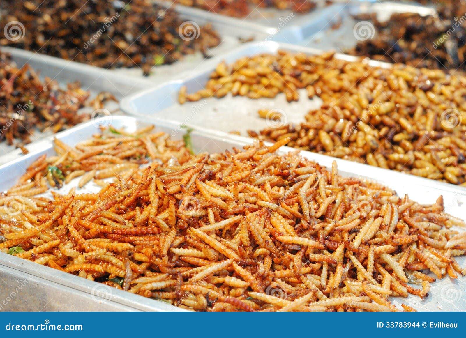 Insectes frits photo stock. Image du mangez, culture - 33783944