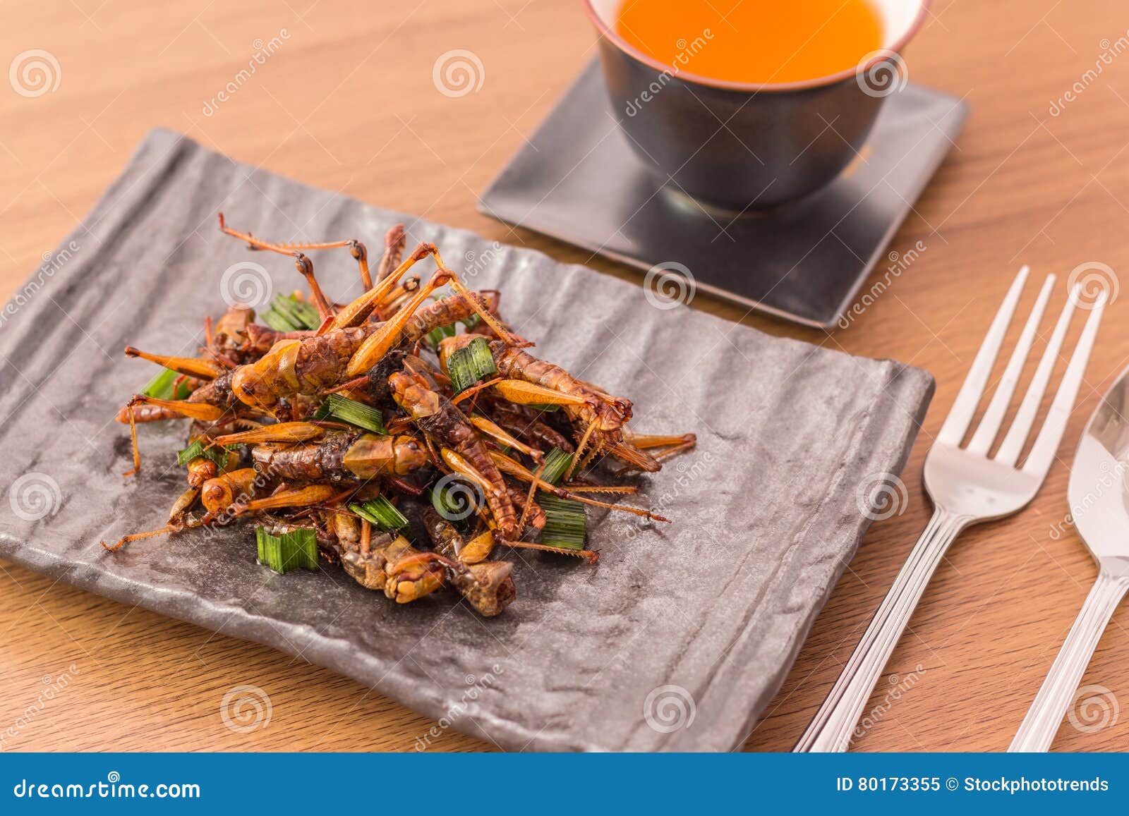 Insectes frits image stock. Image du dénuement, insectes - 80173355