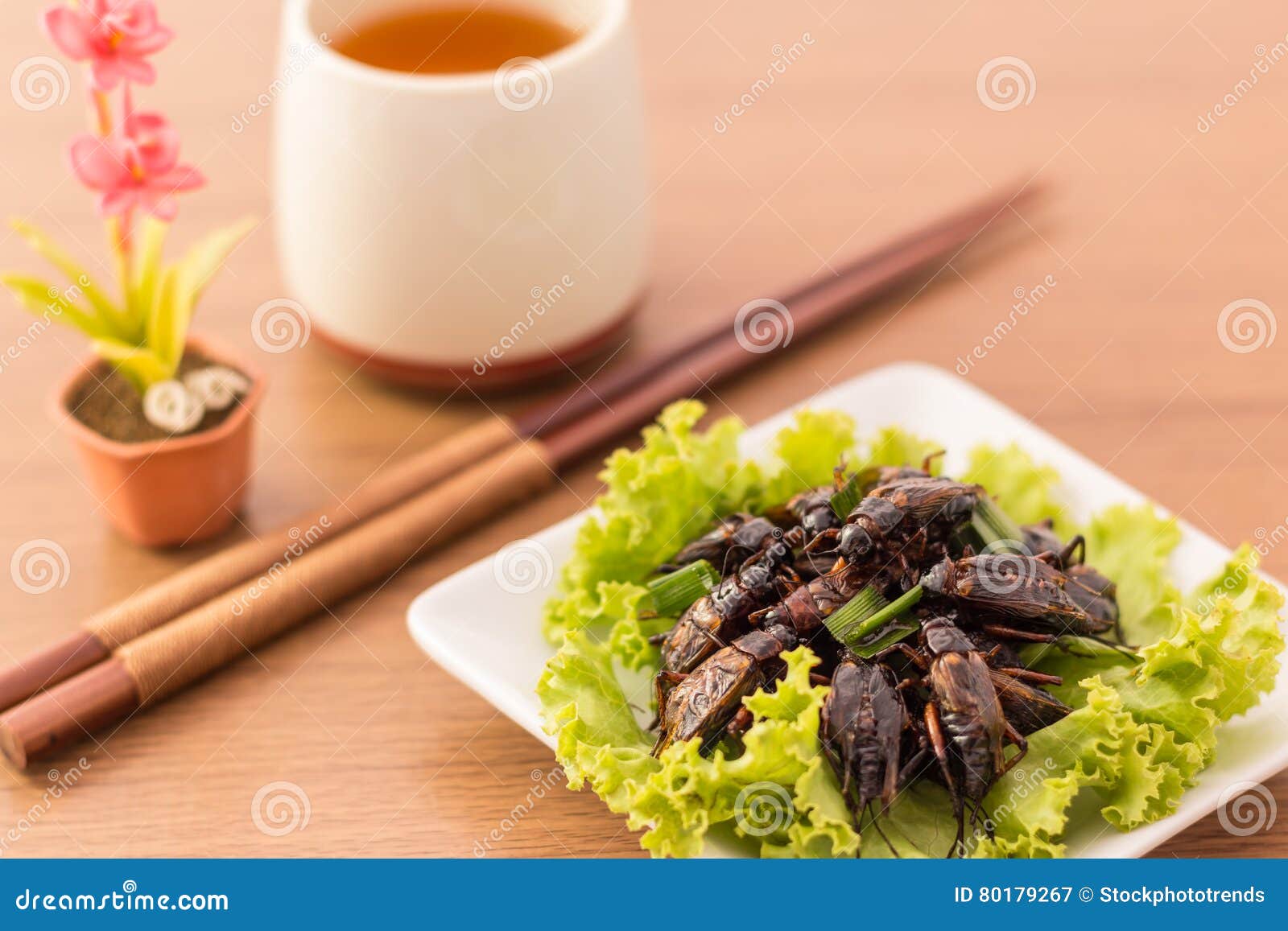 Insectes frits image stock. Image du larve, croustillant - 80179267