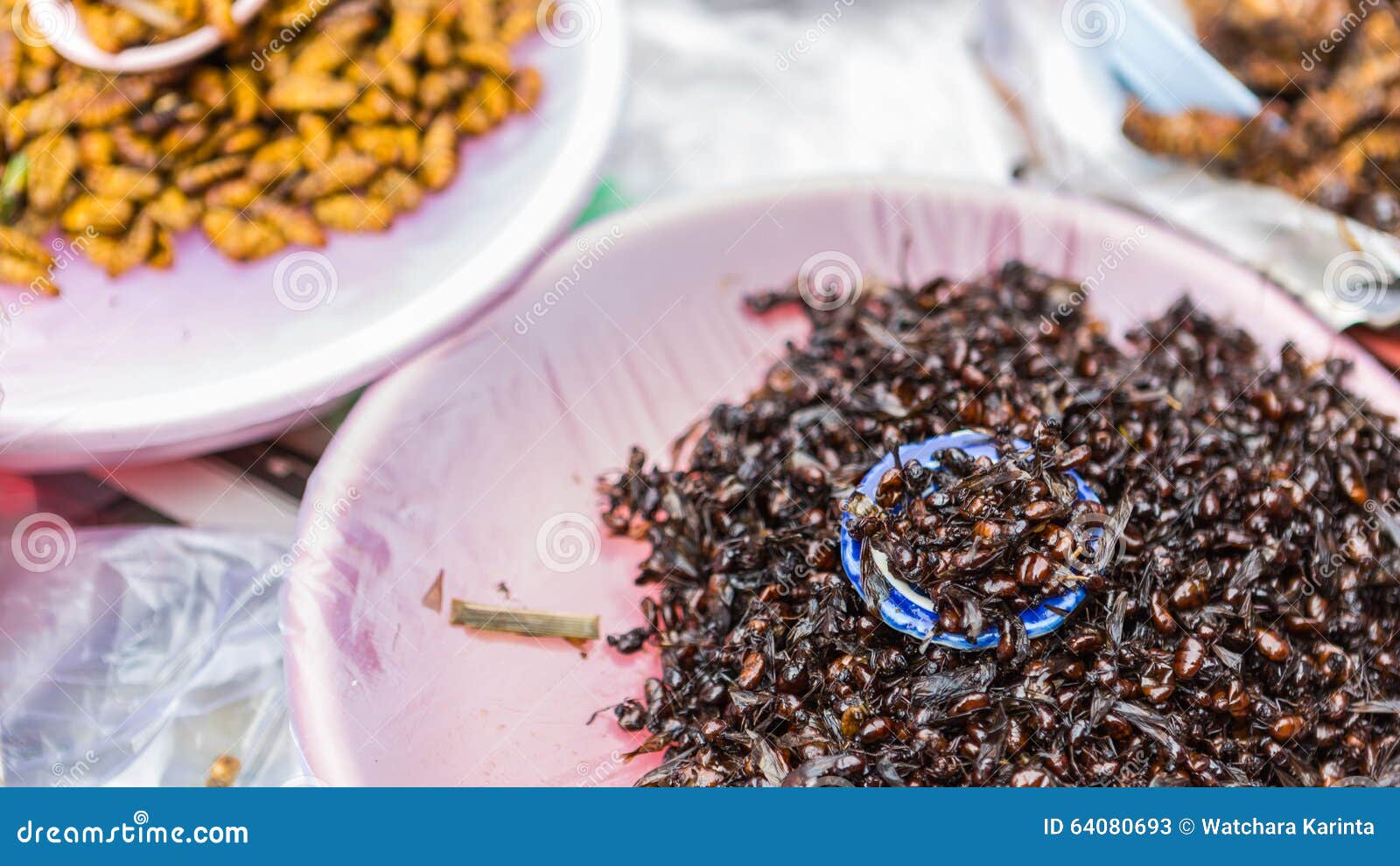 Insectes Frits Dans Le Plat Image stock - Image du repas, nourriture ...