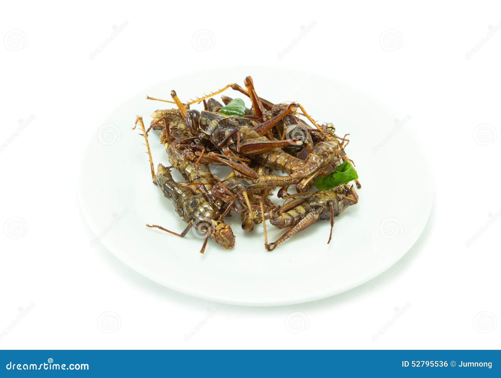 Insectes Frits Sur Le Plat Blanc Photo stock - Image du frit, insecte ...