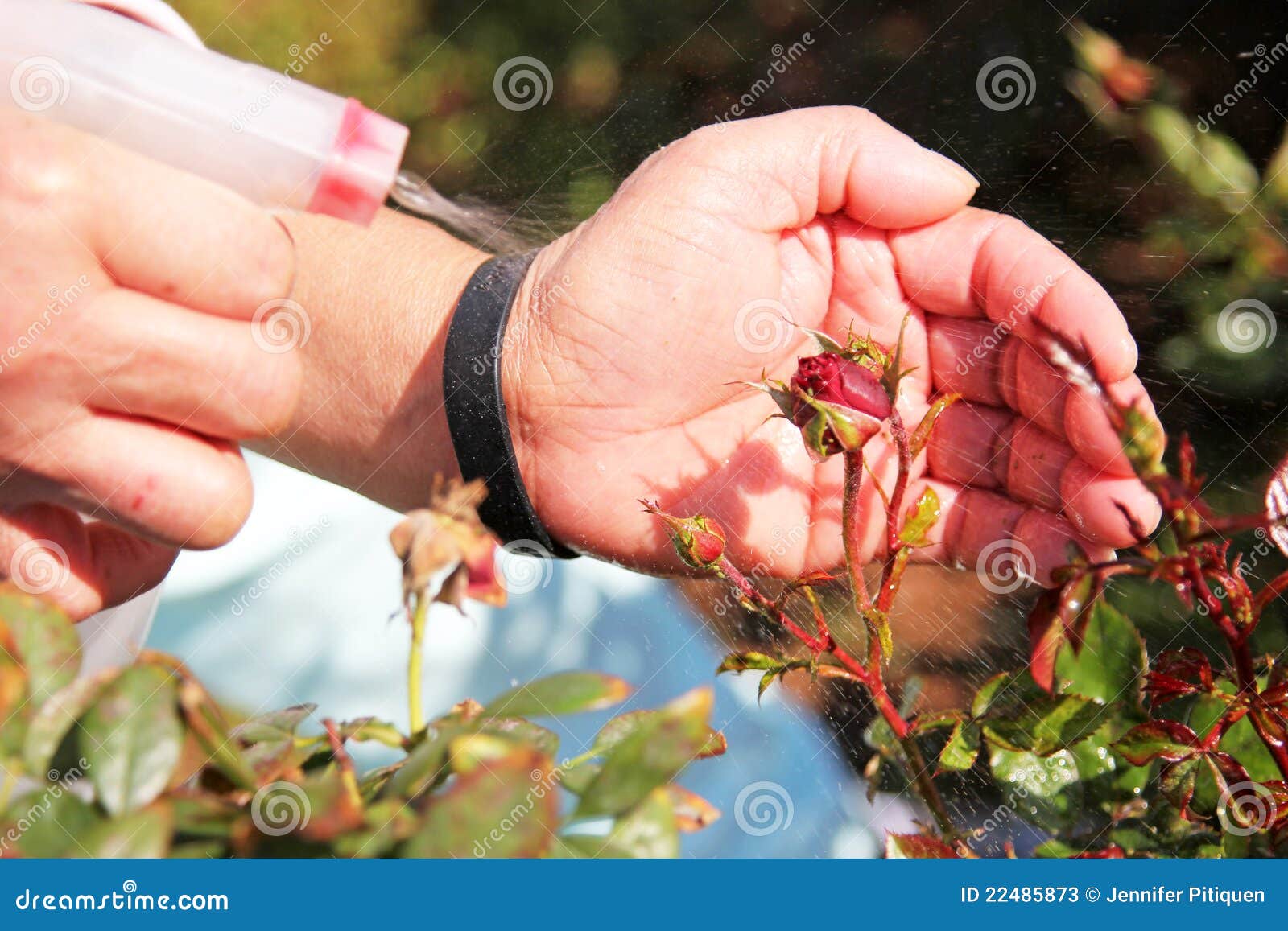 Insecticide normal image stock. Image du commercial, jardinage - 22485873