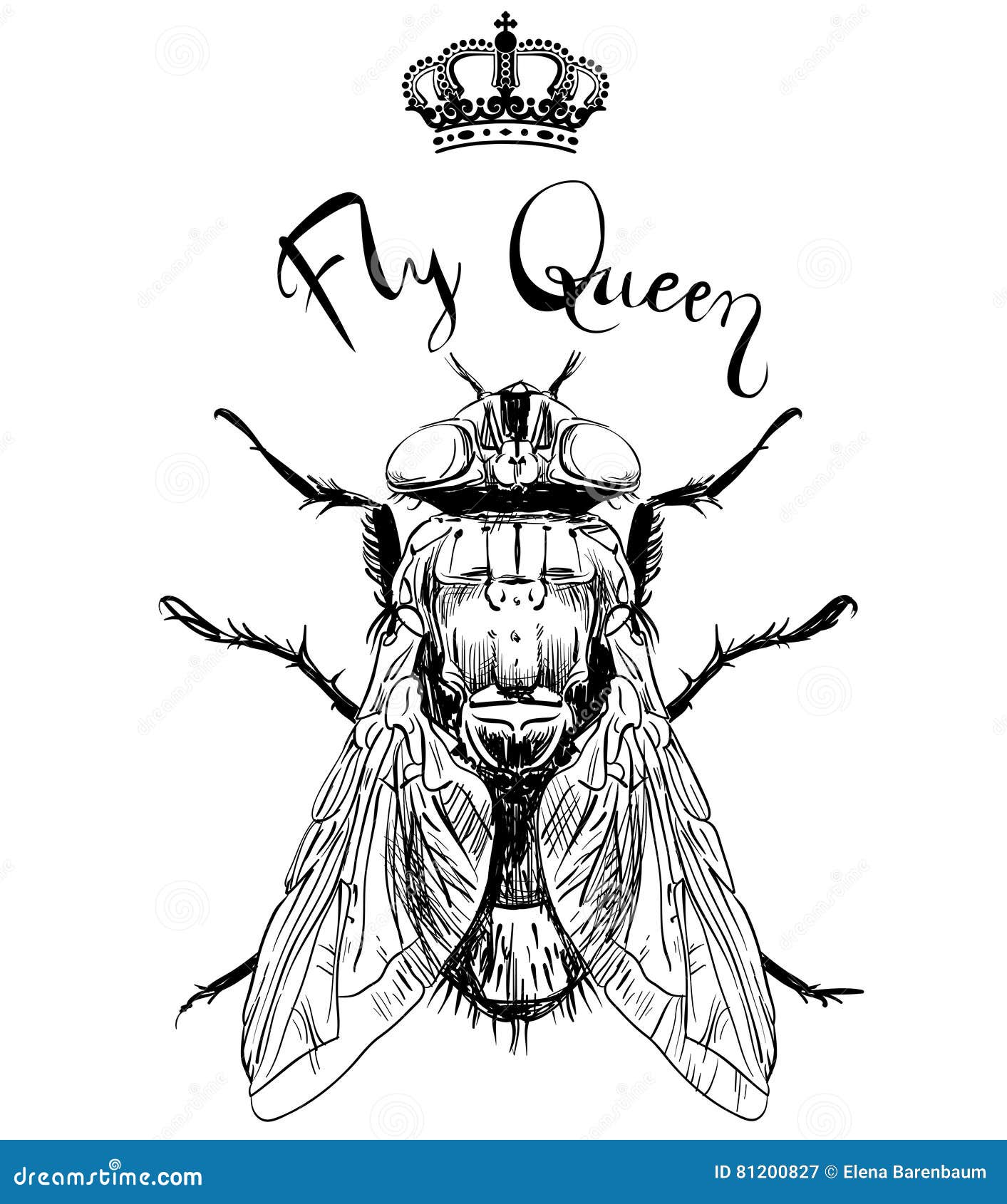 Insecto De La Mosca Con La Corona Ilustración del Vector - Ilustración ...