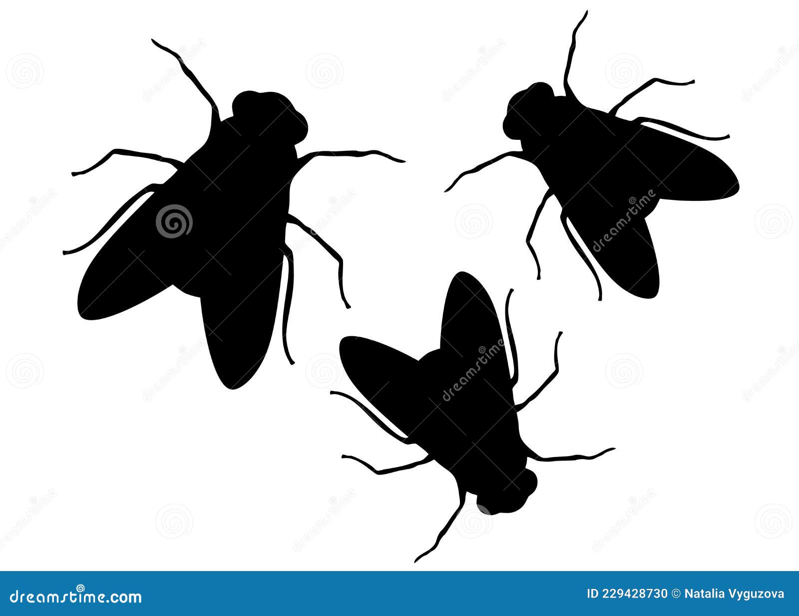 Insecto De Mosca Grande. Imagen Vectorial Ilustración del Vector ...
