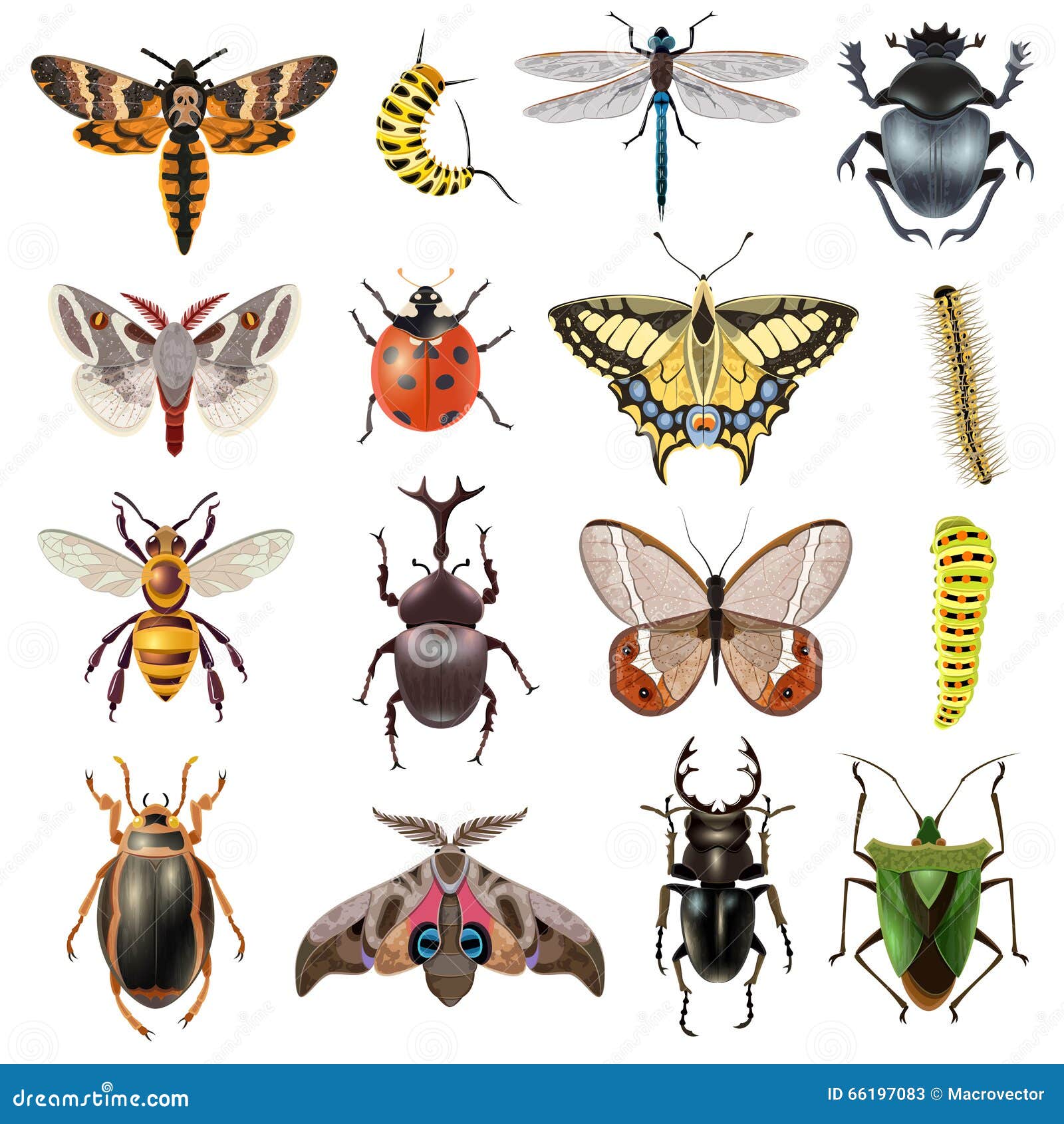 Insectos - conjunto ilustración del vector. Ilustración de pictograma ...