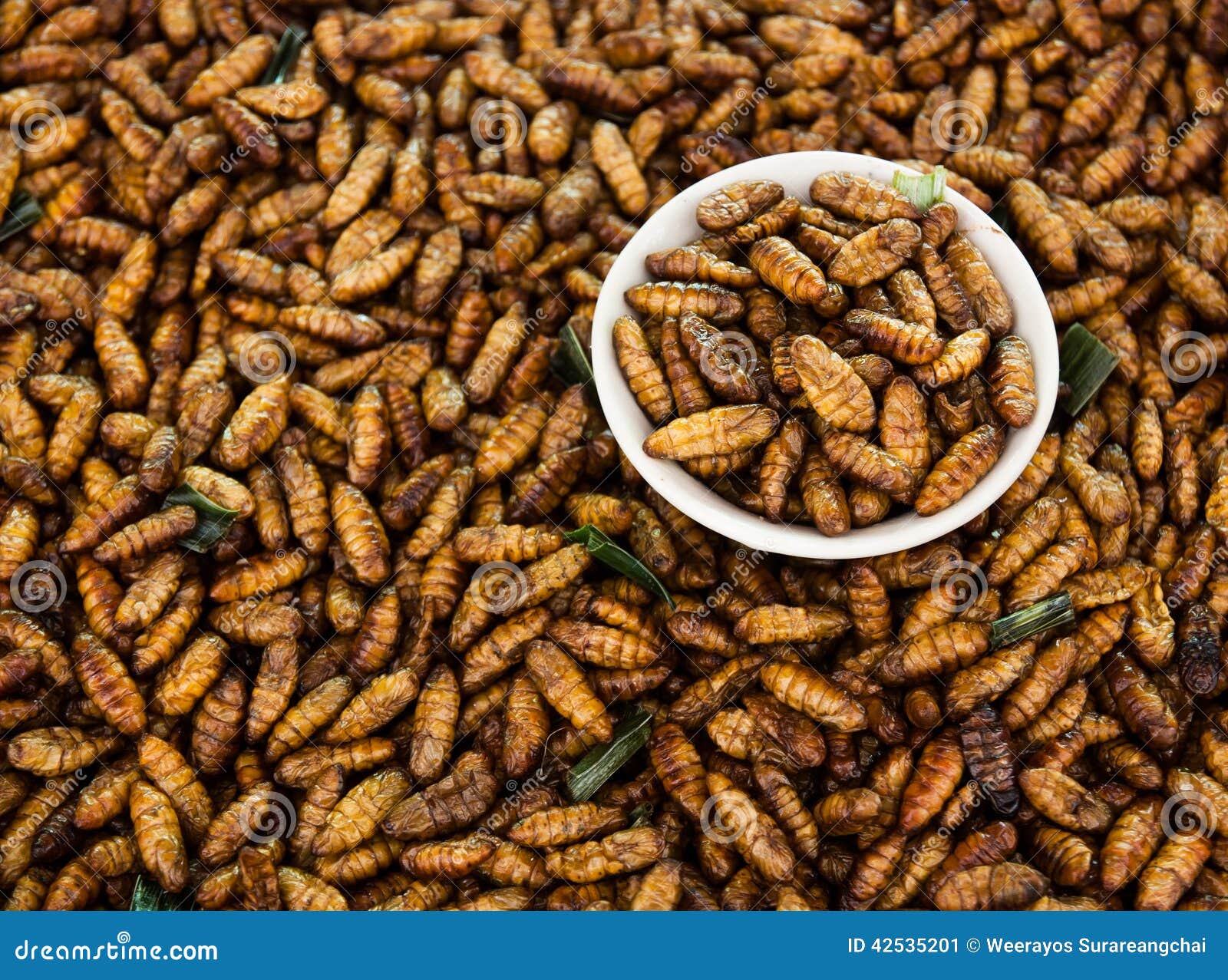 Insectos Fritos, Comida Tailandesa Imagen de archivo - Imagen de ...