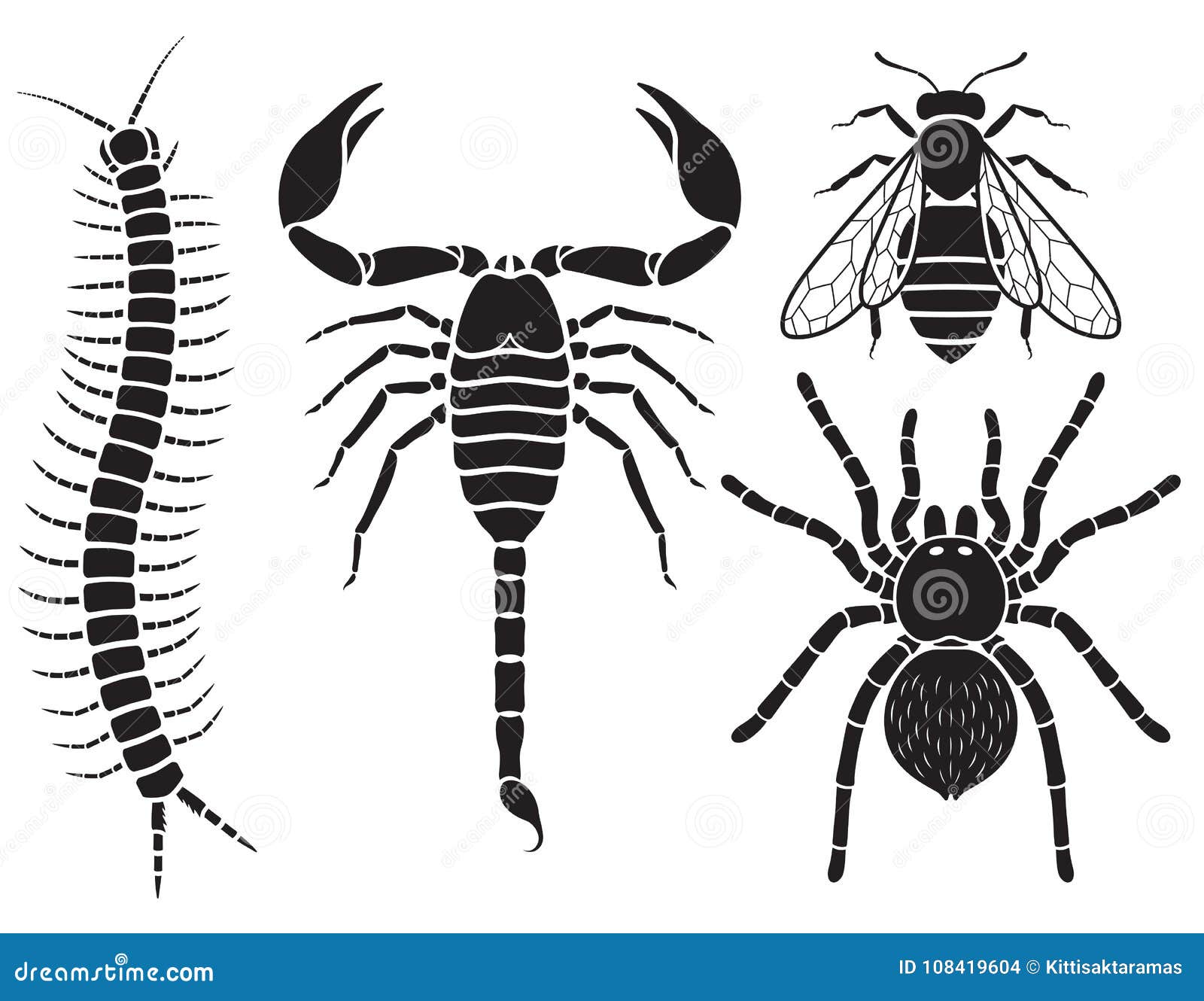 Insectos Venenosos Fijados Vector Ilustración del Vector - Ilustración ...