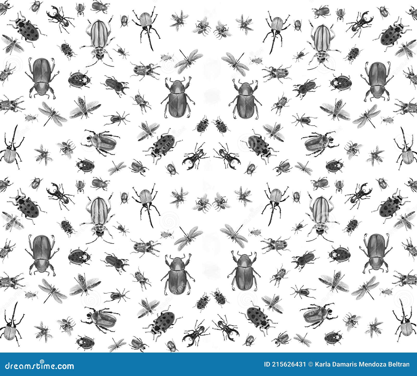 Insectos Y Patrones De Insectos Para Tarjetas Y Tejidos Stock de ...