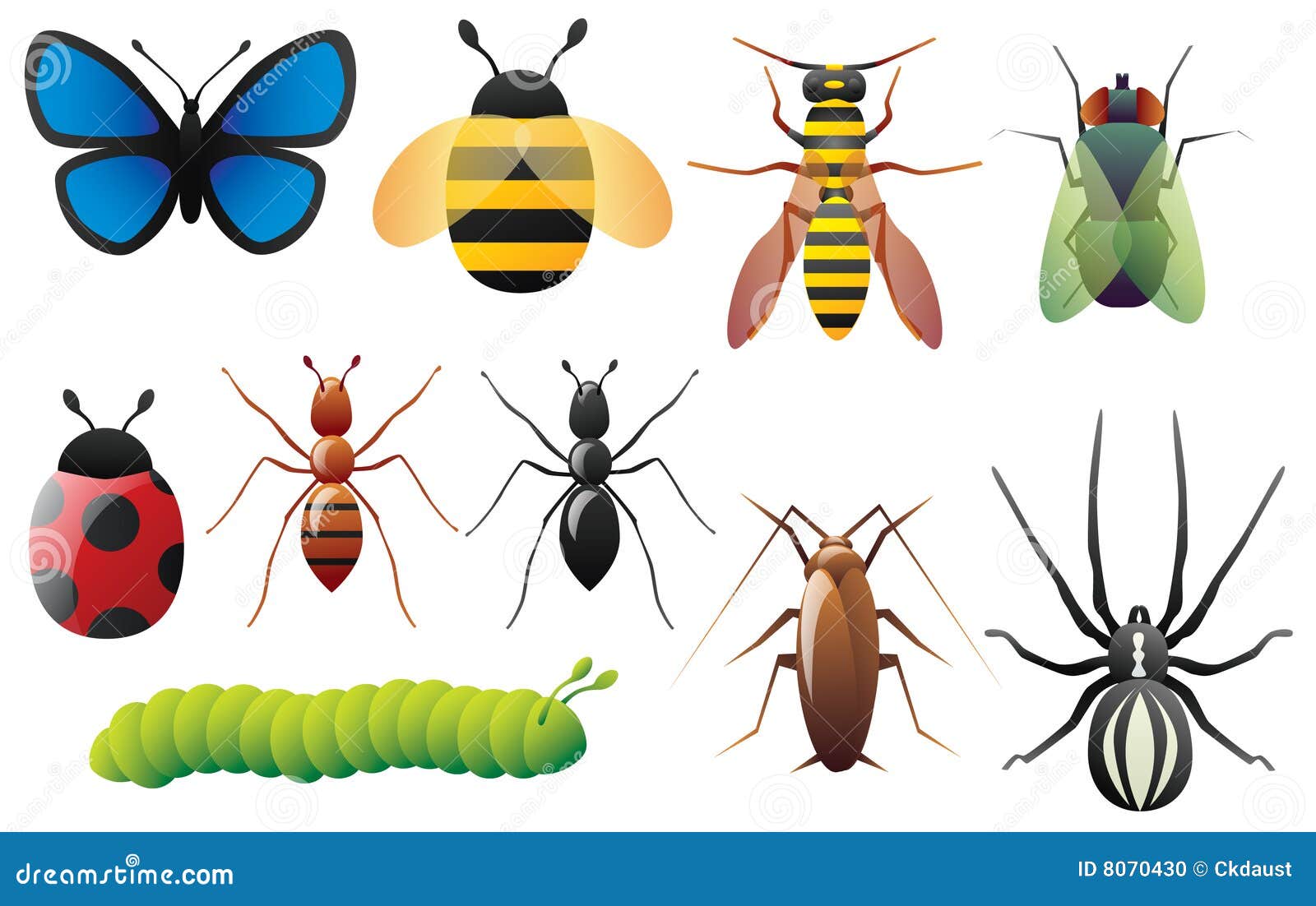Insects stock vector. Illustration of ants, ladybird, insect - 8070430