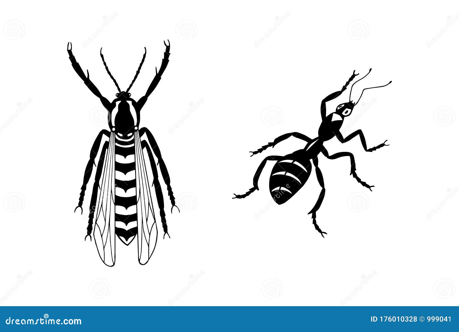 Insects Ant and Hornet. Vector Stock Illustration Eps10. Hand Drawing ...