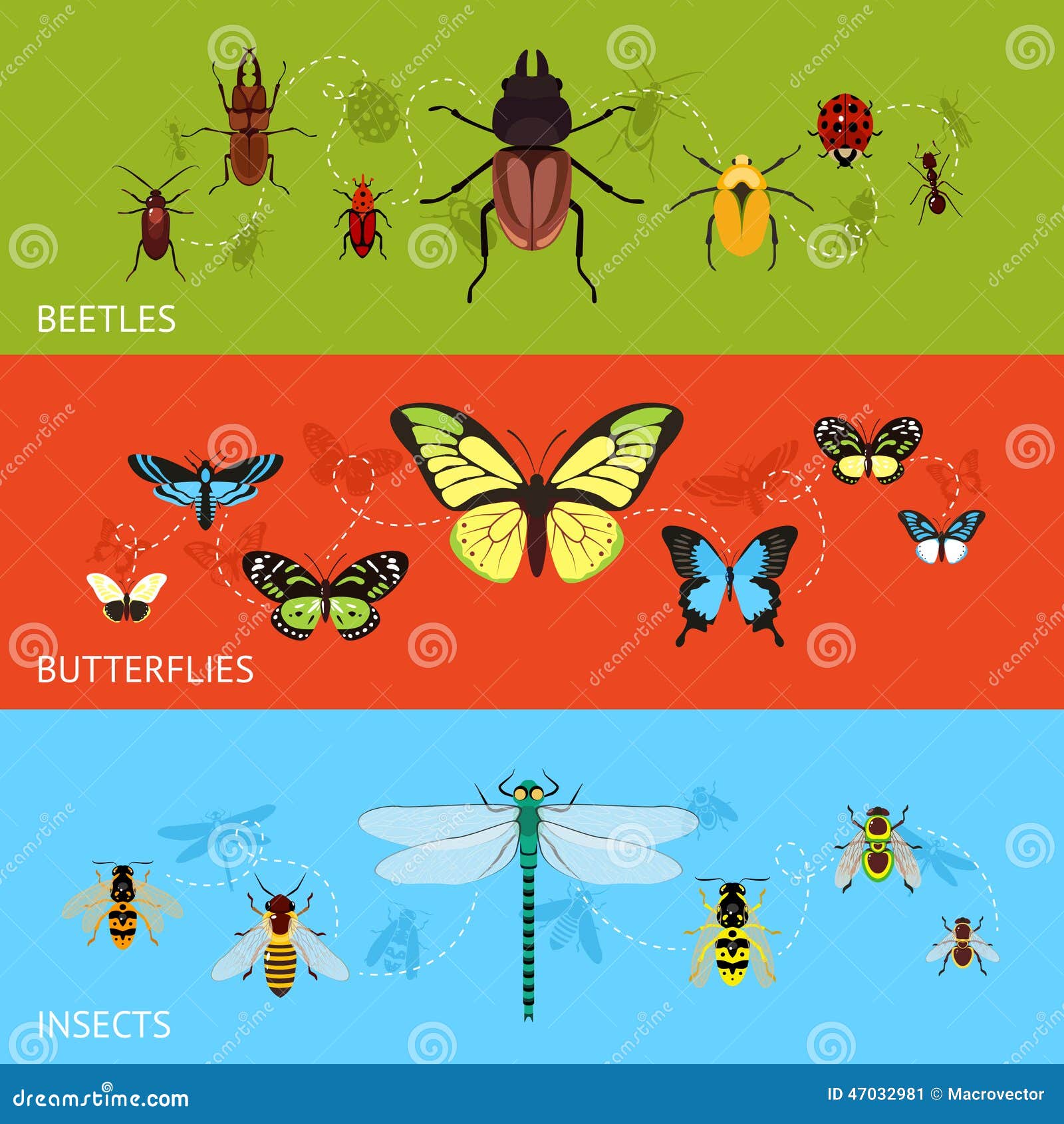 Insects banner set stock vector. Illustration of decorative - 47032981