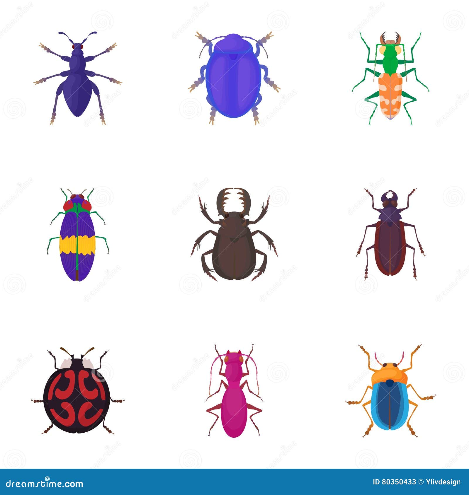 Insects Set With Beetles, Bees And Spiders Isolated On White Background ...