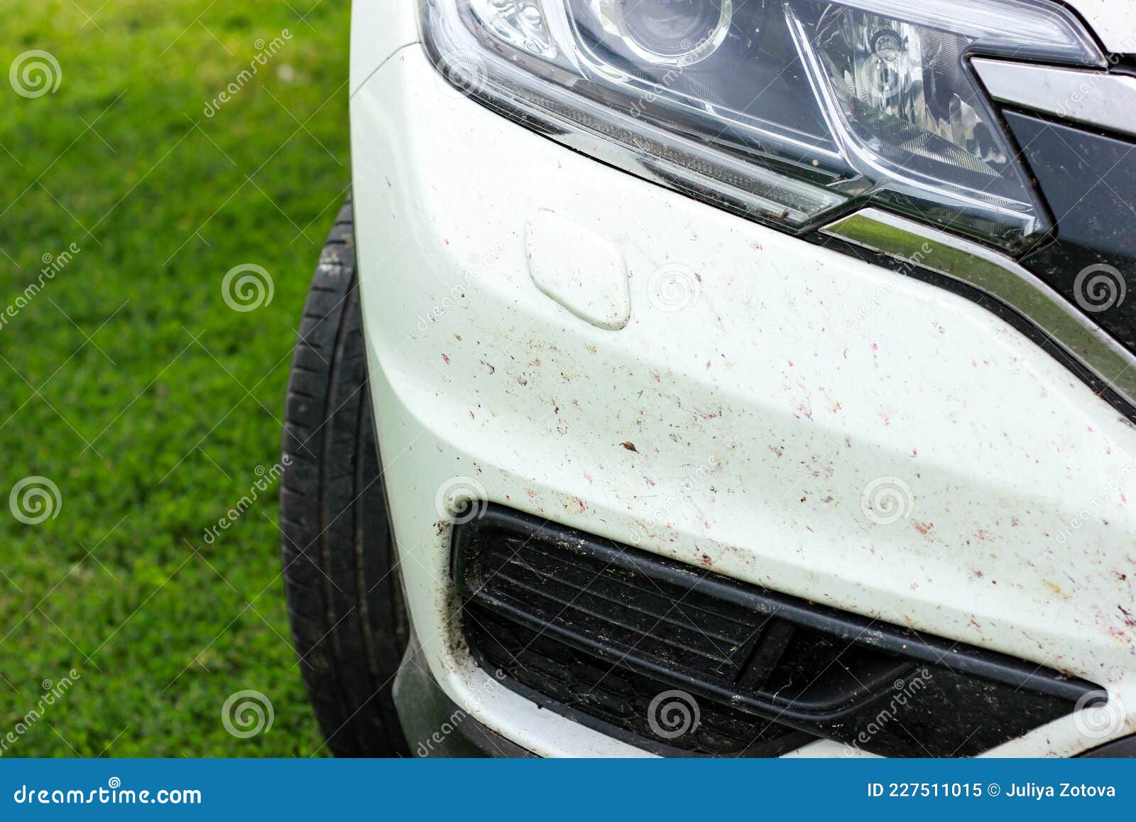 Insects on the Bumper of the Car. Dirty Car from Insects Stock Image ...