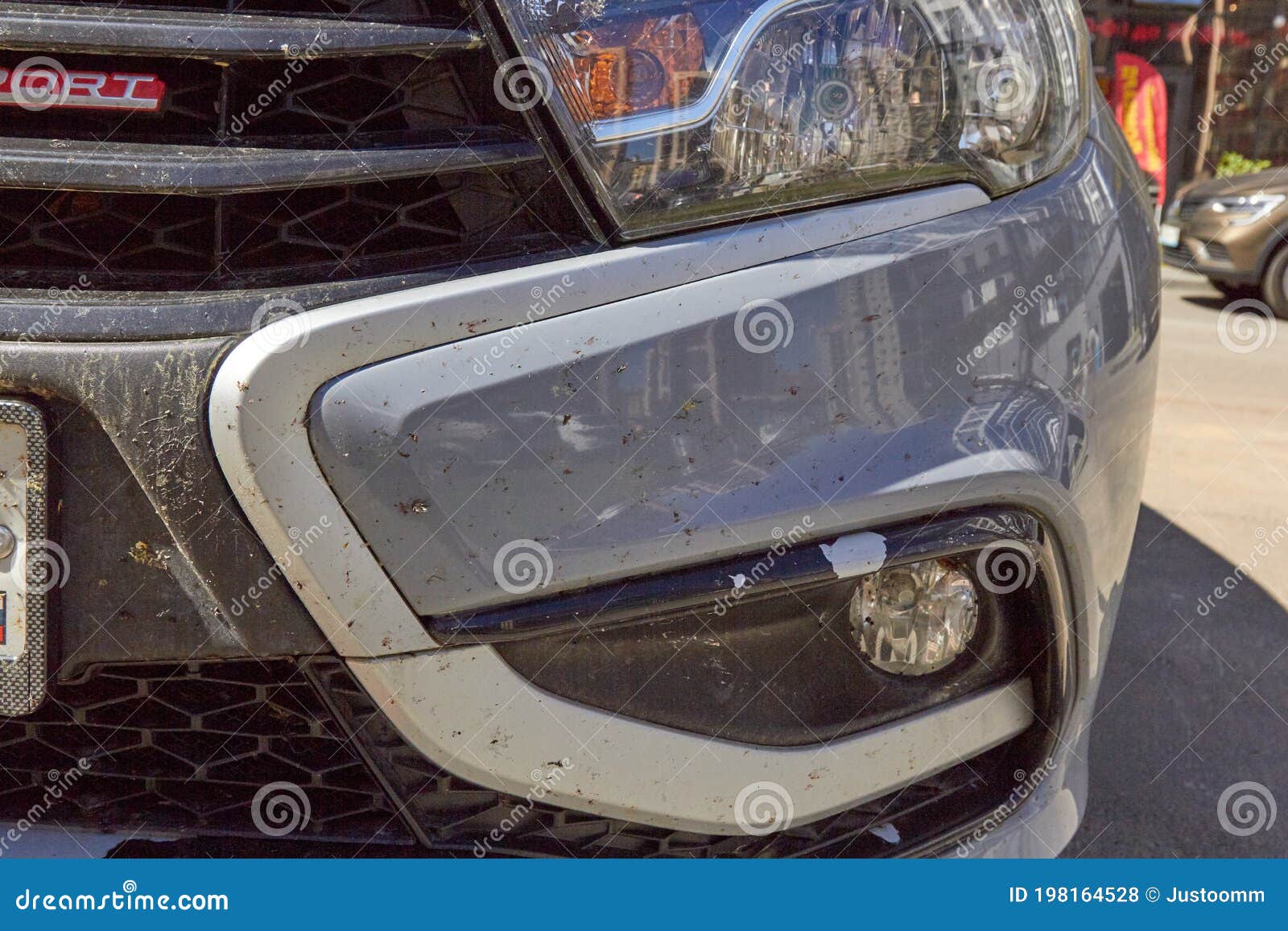 Insects on the Car on the Bumper Paintwork Editorial Stock Photo ...