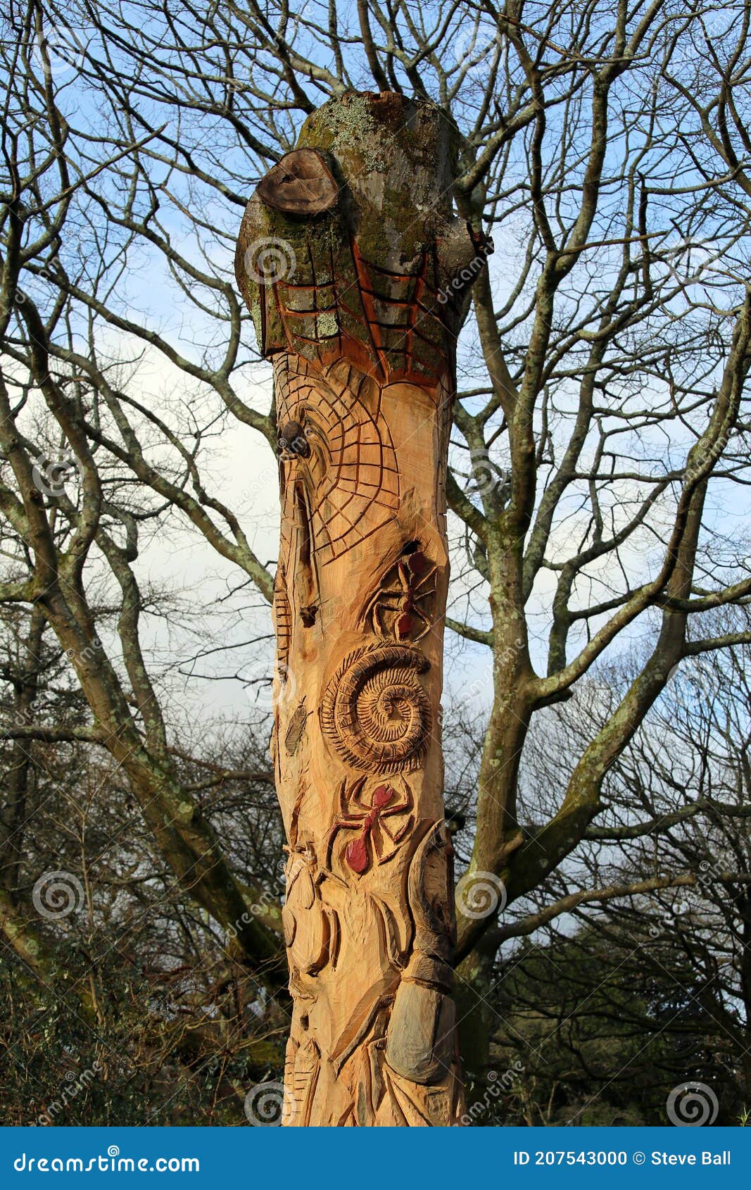 Insects Carved into a Tree Trunk Stock Photo - Image of wales, tree ... Insects Carved into a Tree Trunk Stock Photo - Image of wales, tree ...