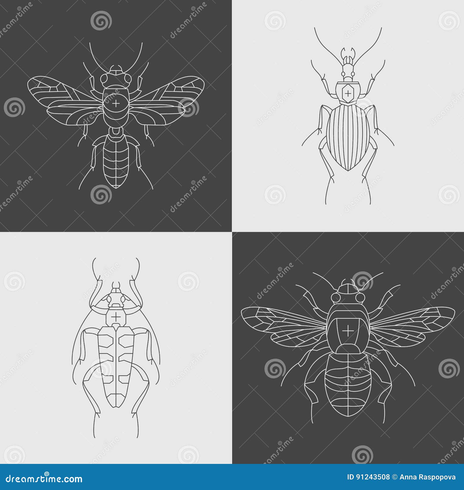 Insects design elements stock vector. Illustration of drawing - 91243508