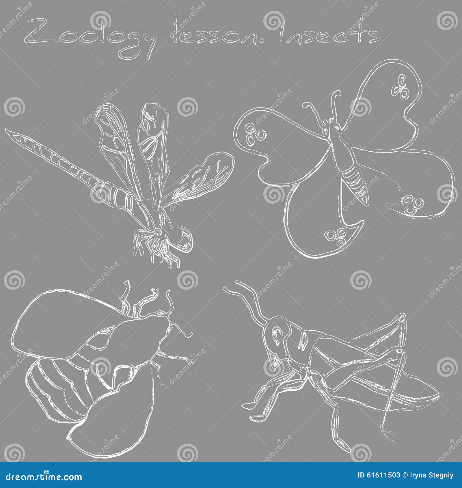 Insects. Drawn with Chalk on the Blackboard Stock Illustration ...