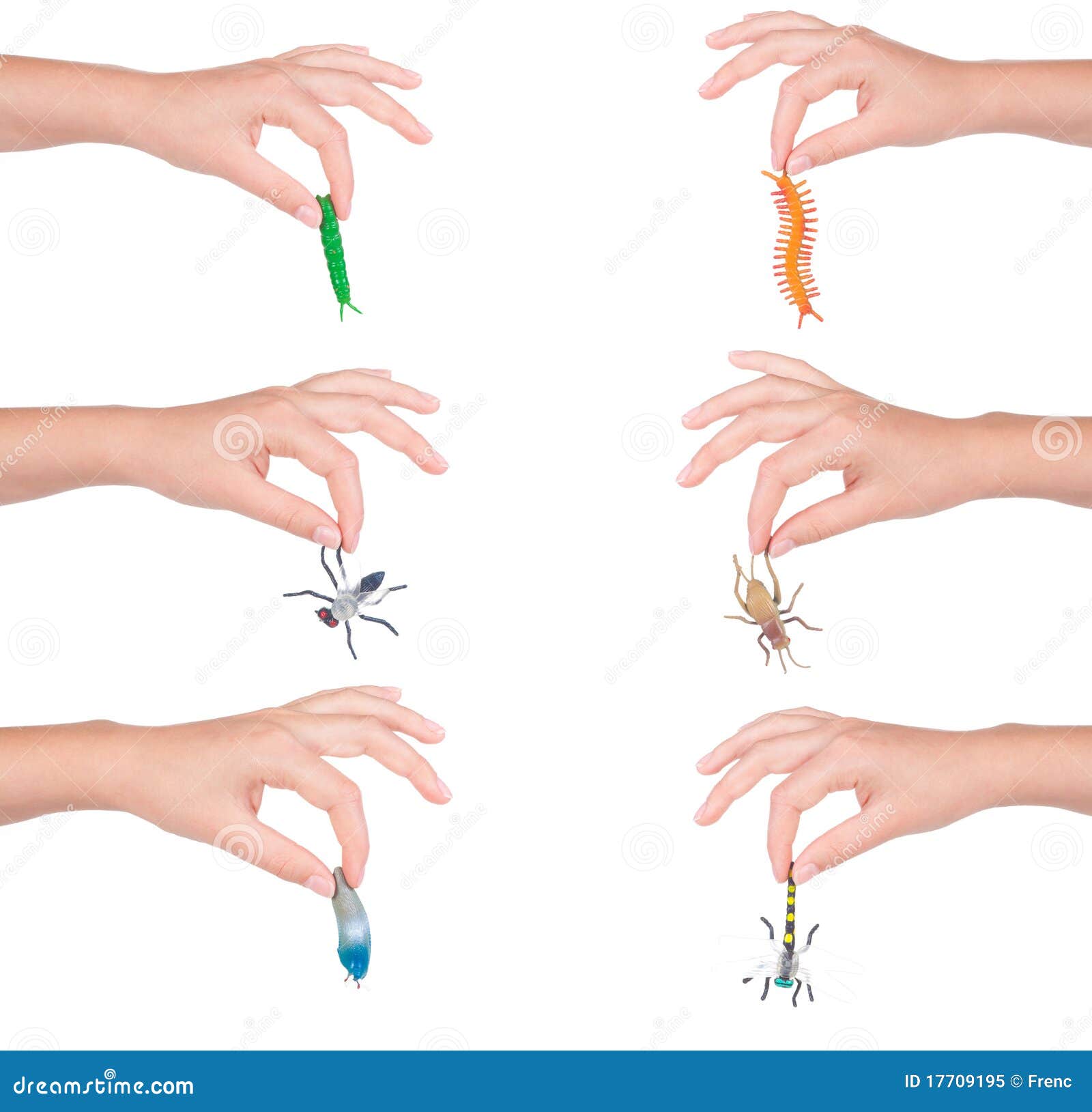 Insects in a Female Hand, Isolated Stock Image - Image of bugs ...