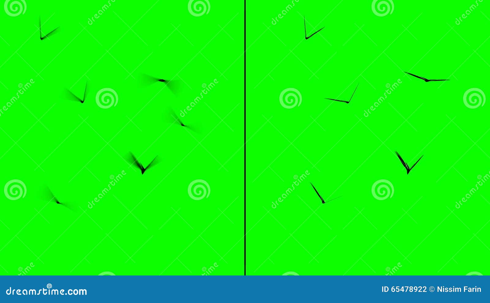 Insects Flying on a Green Screen Background Divided To Two Groups ...