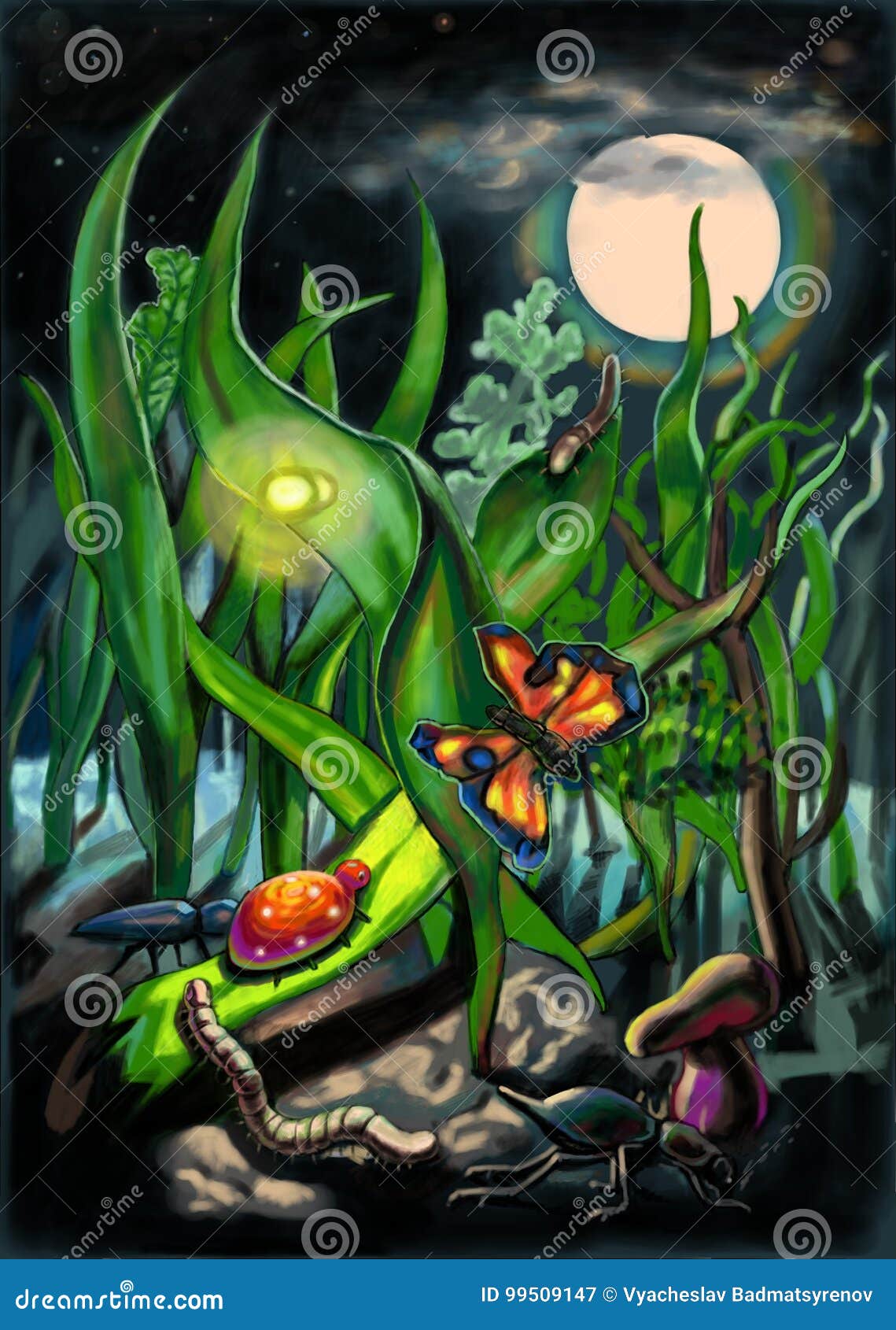 Insects in the Grass at Night with Moon Stock Illustration ...