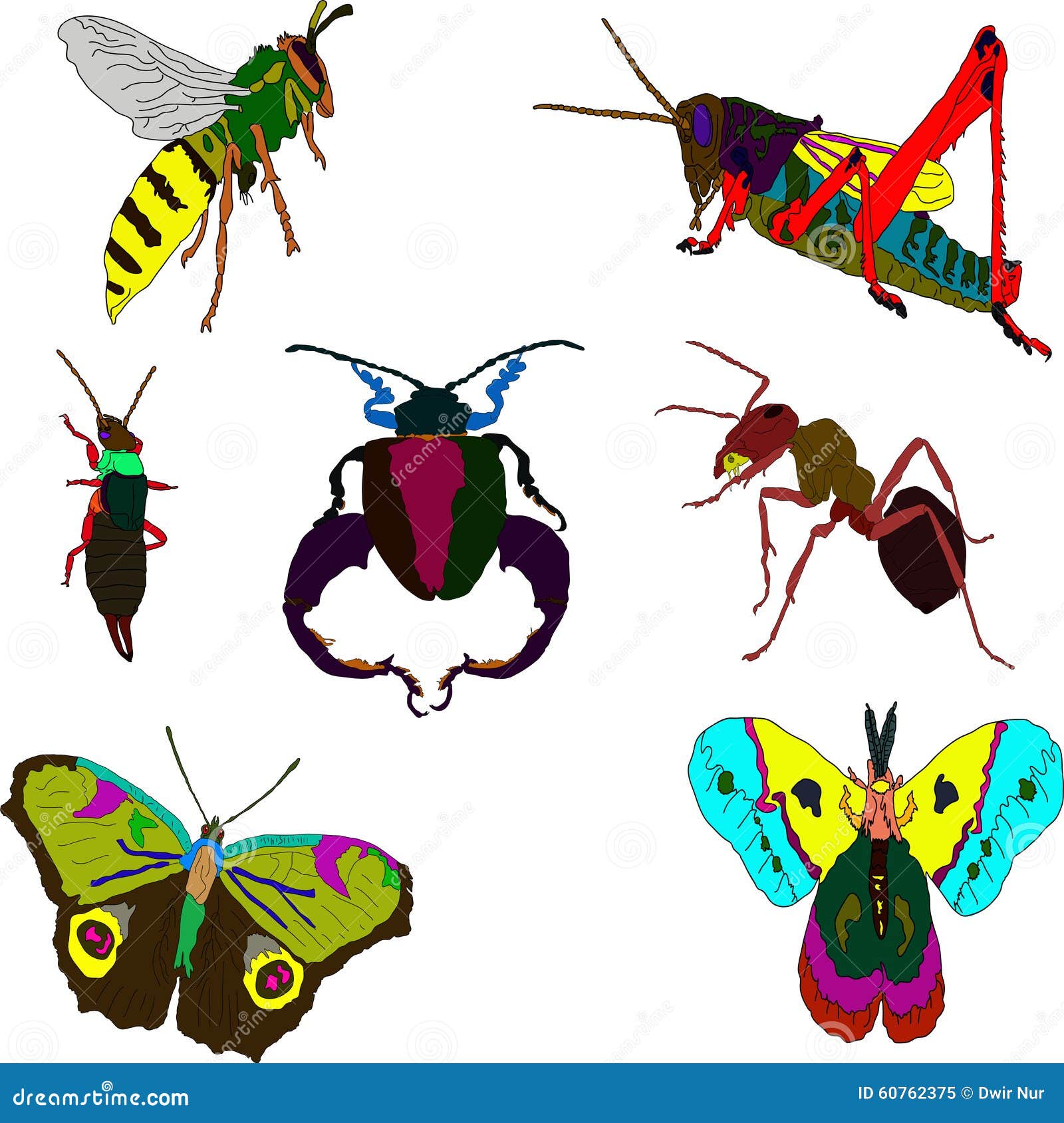Insects stock vector. Illustration of closeup, beautiful - 60762375