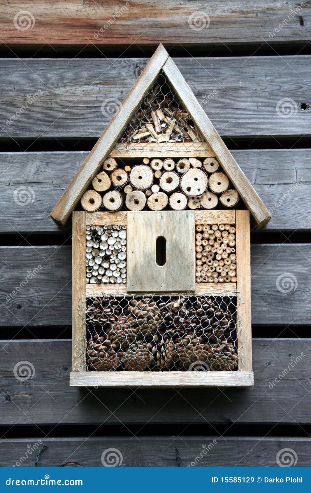 Insects house stock image. Image of home, insect, nature - 15585129