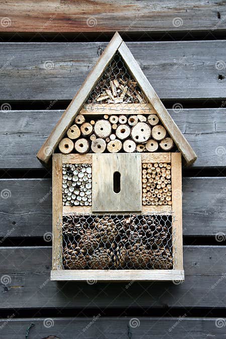 Insects house stock image. Image of home, insect, nature - 15585129
