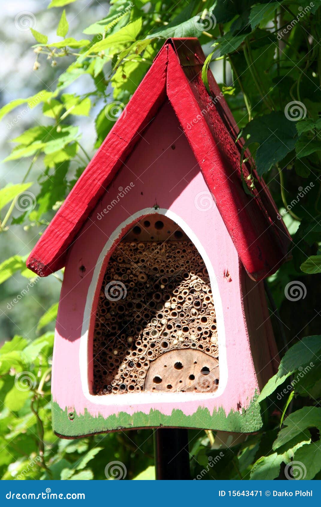 Insects house stock image. Image of attract, home, straw - 15643471