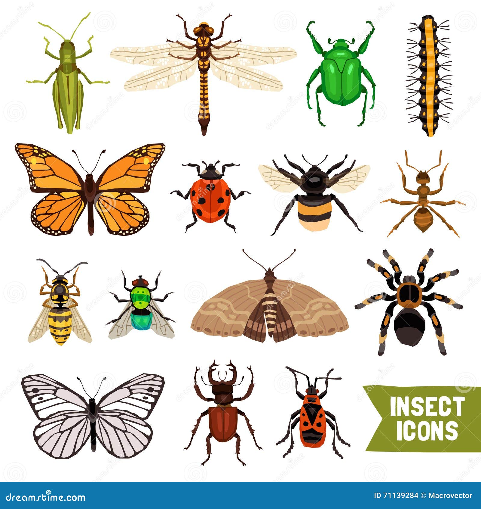 Insects Icons Set Stock Illustrations – 2,956 Insects Icons Set Stock ...