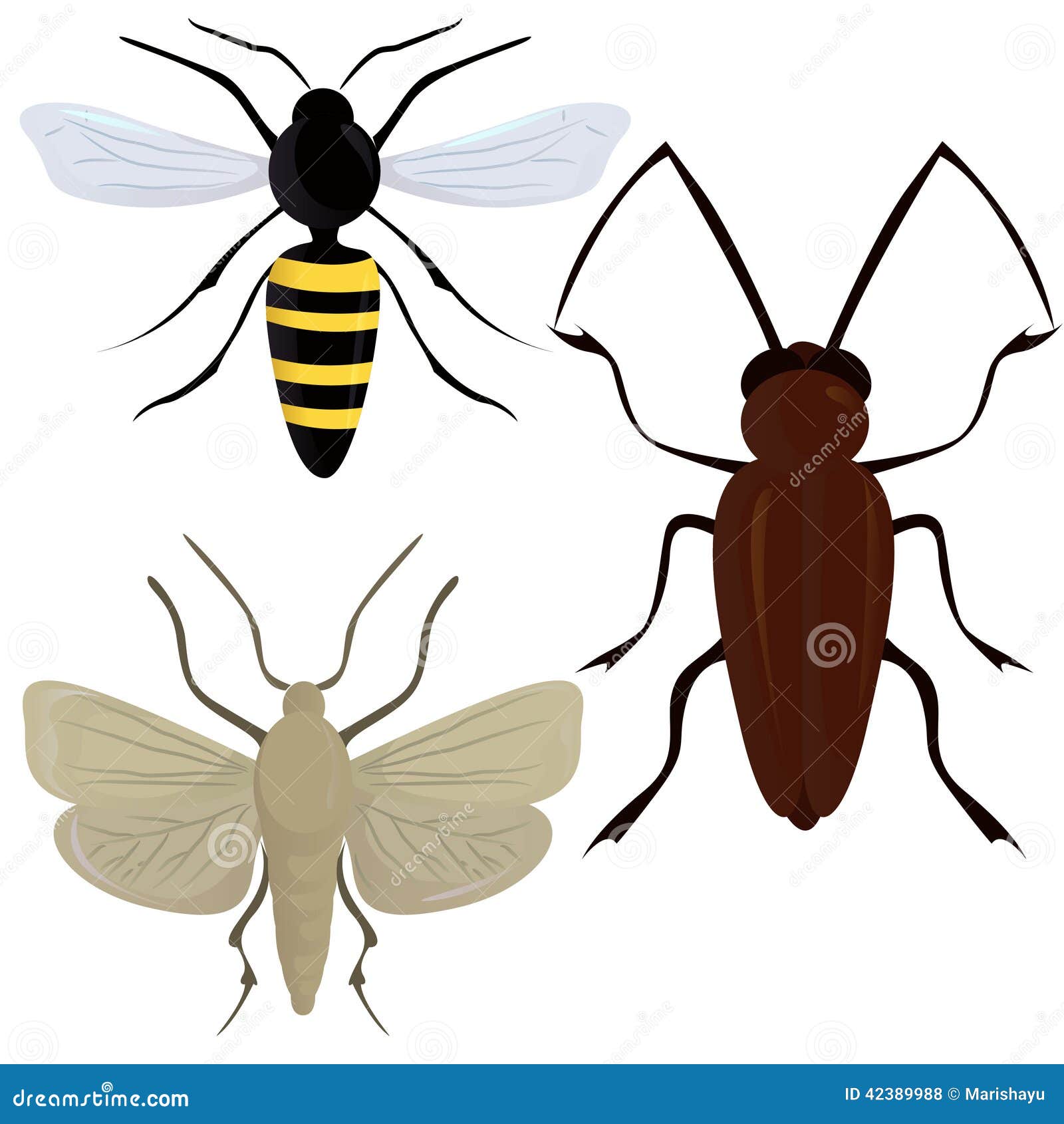 Insects illustration stock vector. Illustration of yellow - 42389988