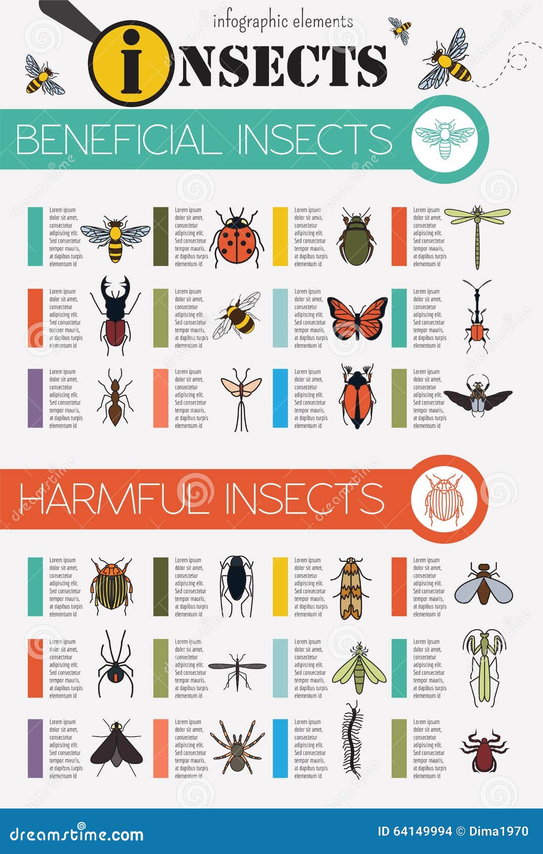 Insects Infographic Template Stock Vector - Illustration of goliath ...