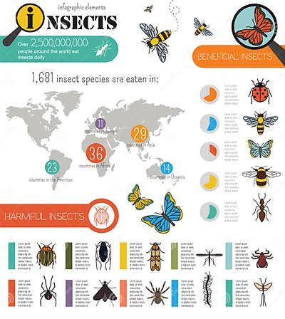 Insects Infographic Template Stock Vector - Illustration of midge ...