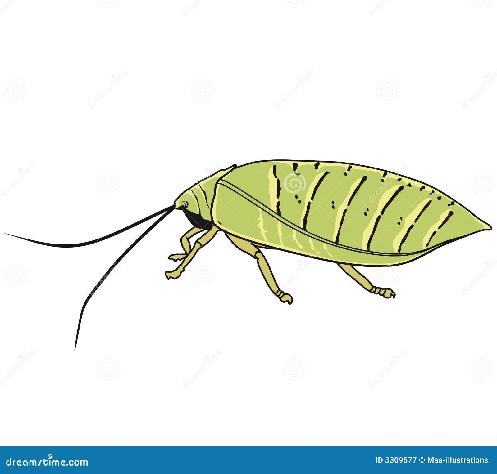 Insects with its antenna stock vector. Illustration of shell - 3309577