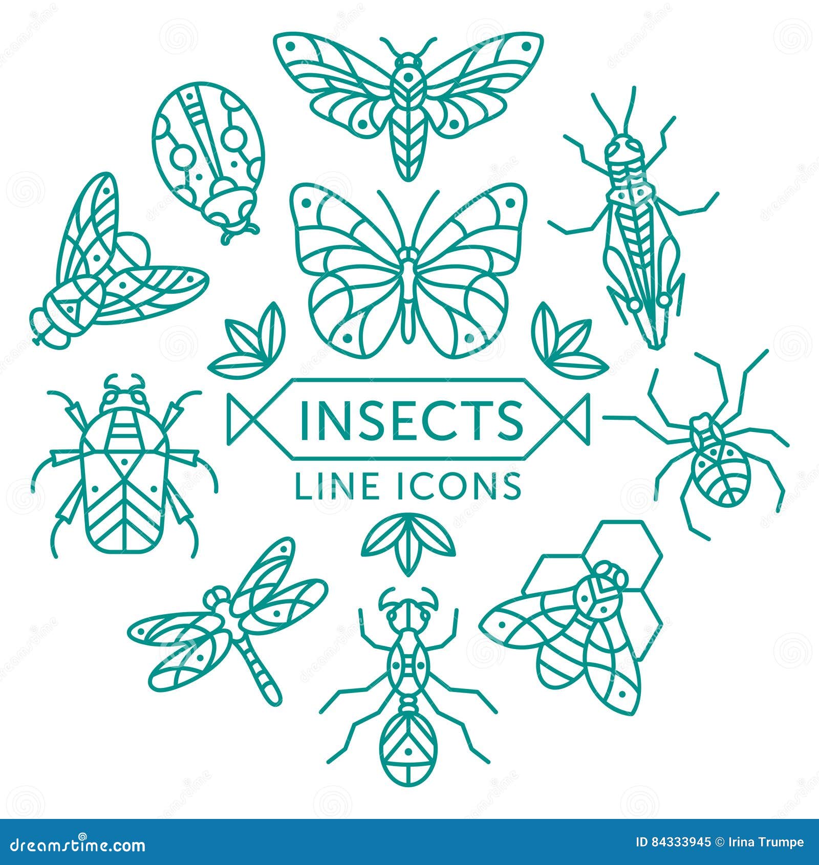 Insects Arranged Stock Illustrations – 23 Insects Arranged Stock ...