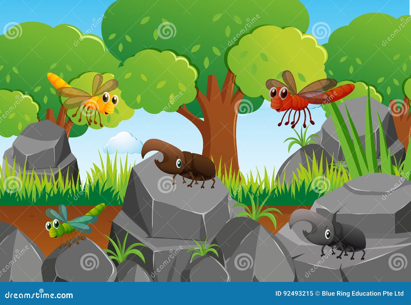 Insects Living in the Garden Stock Vector - Illustration of animal ...