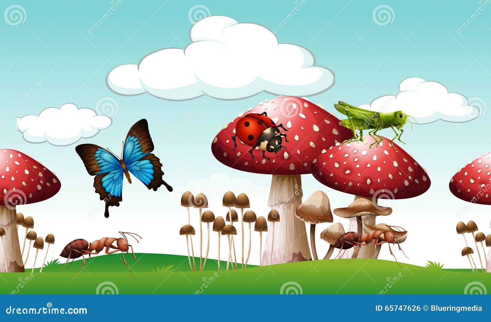 Insects Living Park Stock Illustrations – 88 Insects Living Park Stock ...