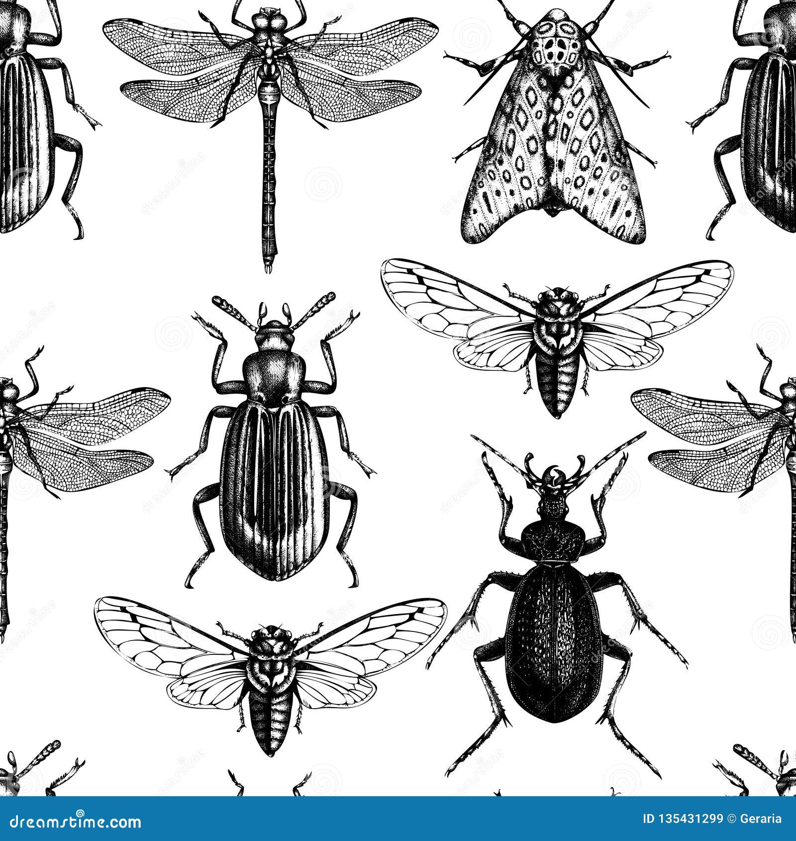 Vector Background with High Detailed Insects Illustrations. Hand Drawn ...