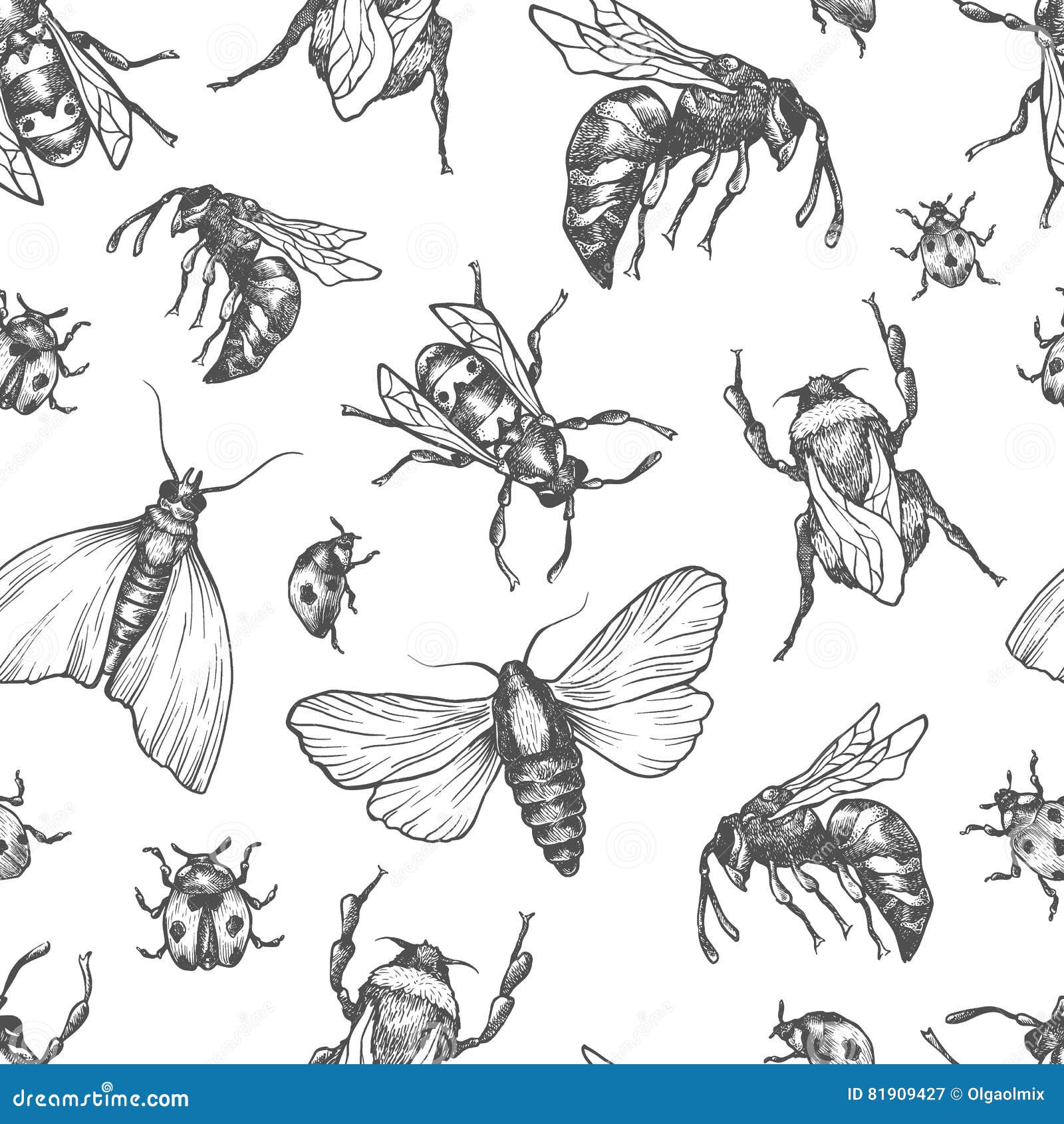 Insects Pattern. stock illustration. Illustration of encyclopedia ...