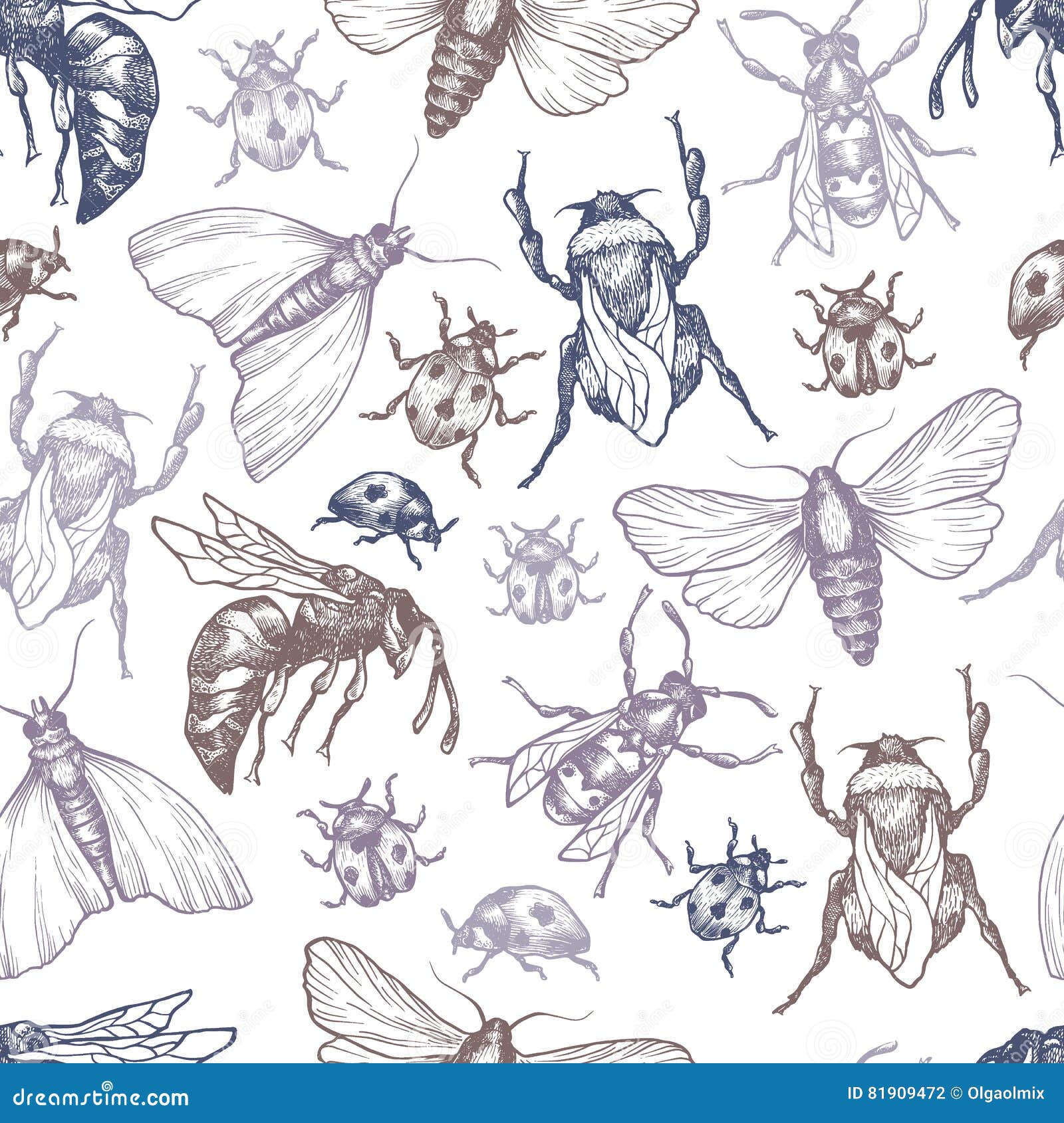 Insects Pattern. stock illustration. Illustration of encyclopedia ...