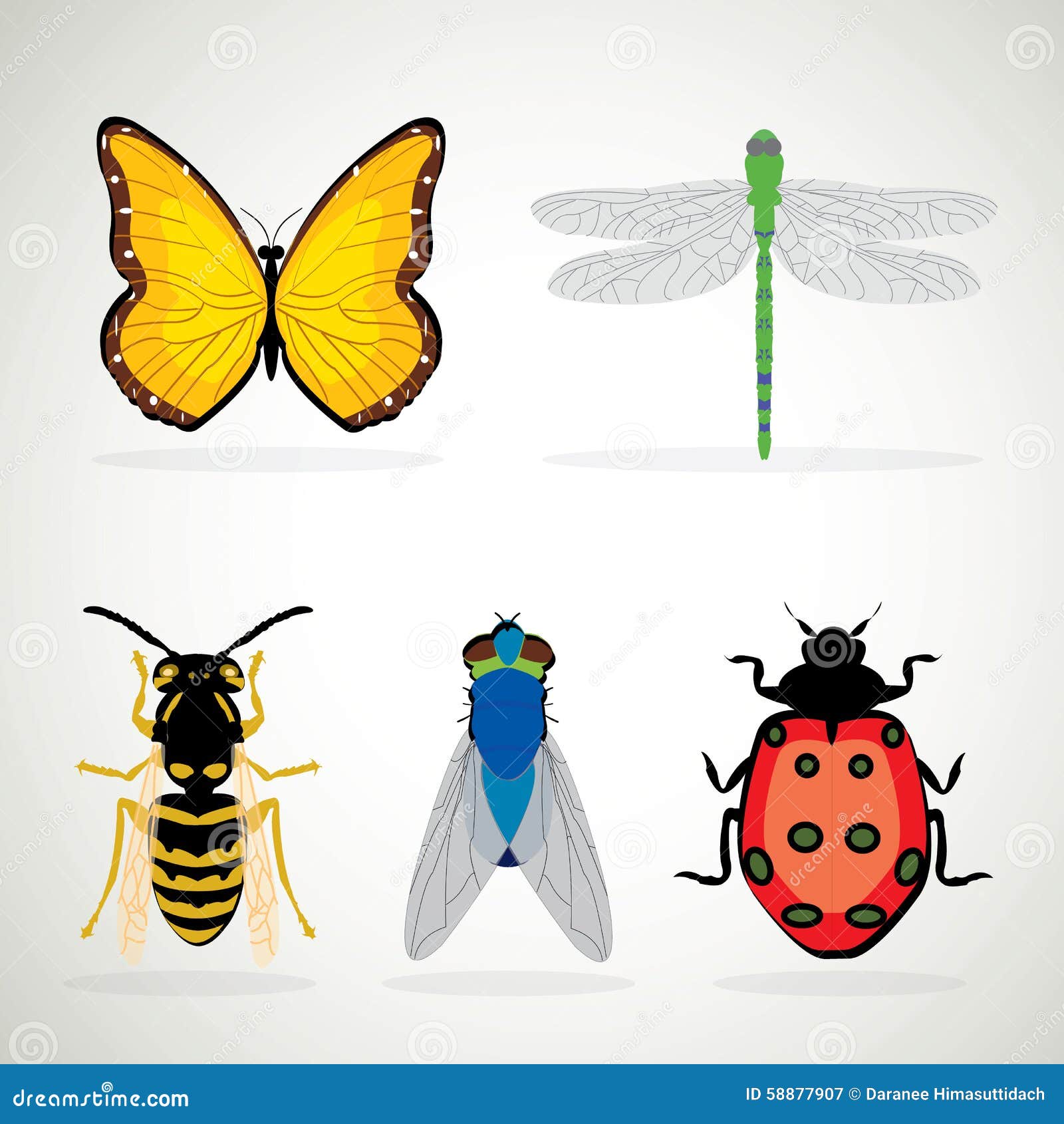 Insects Realistic Colored Decorative Icons Stock Vector - Illustration ...