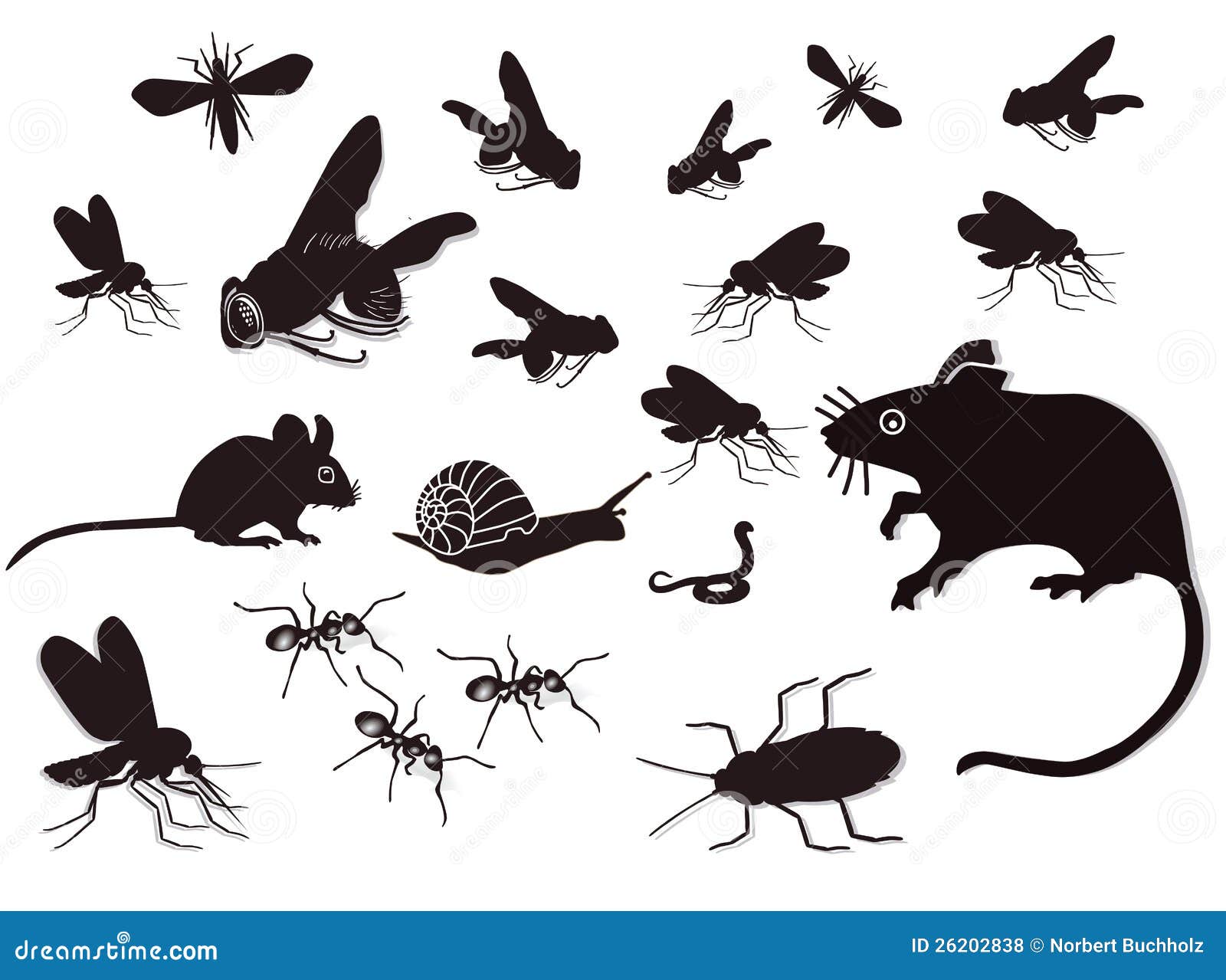 Rodents And Insects