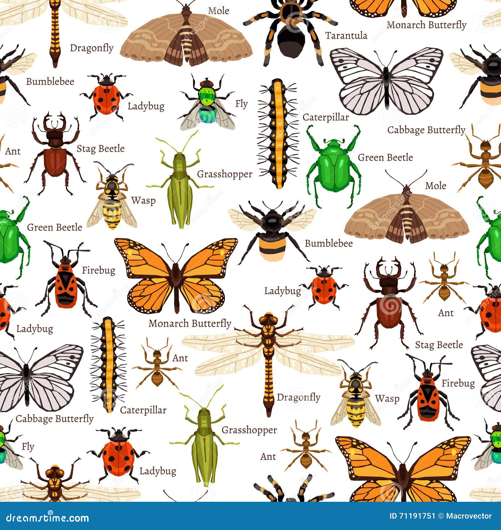 Insects Cartoons, Illustrations & Vector Stock Images - 70744 Pictures ...